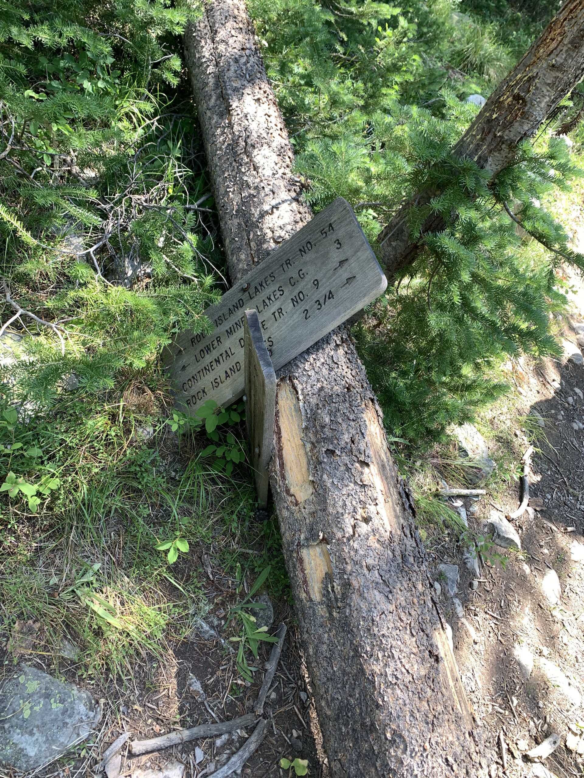Some Hikers Skipped Hundreds of Miles on the CDT - The Trek