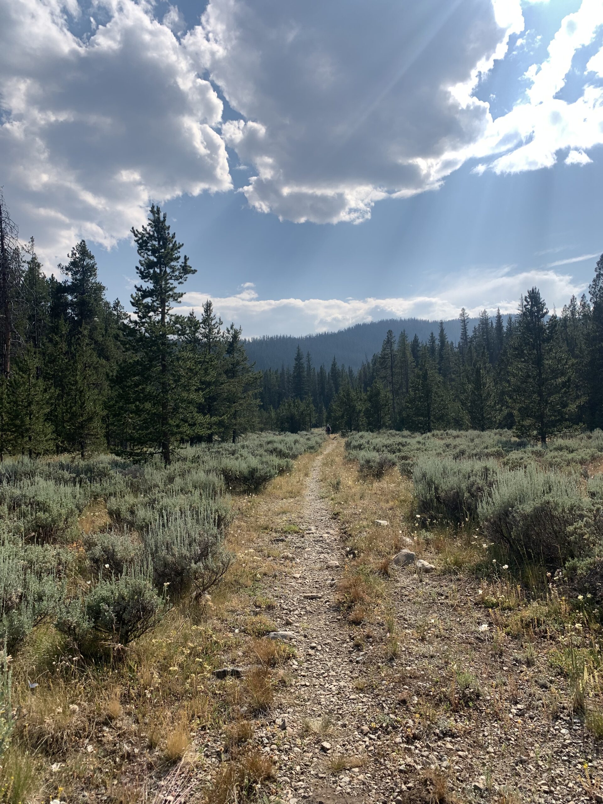 Some Hikers Skipped Hundreds of Miles on the CDT - The Trek