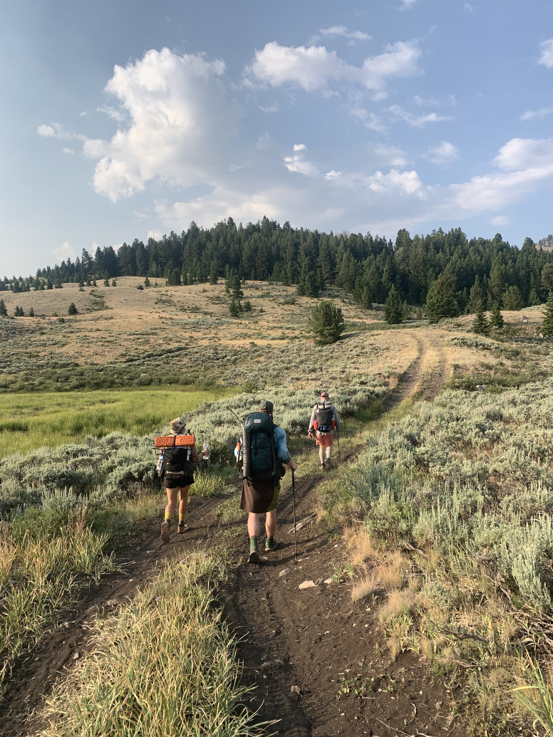 The Hardest Hiking on the CDT Yet - The Trek
