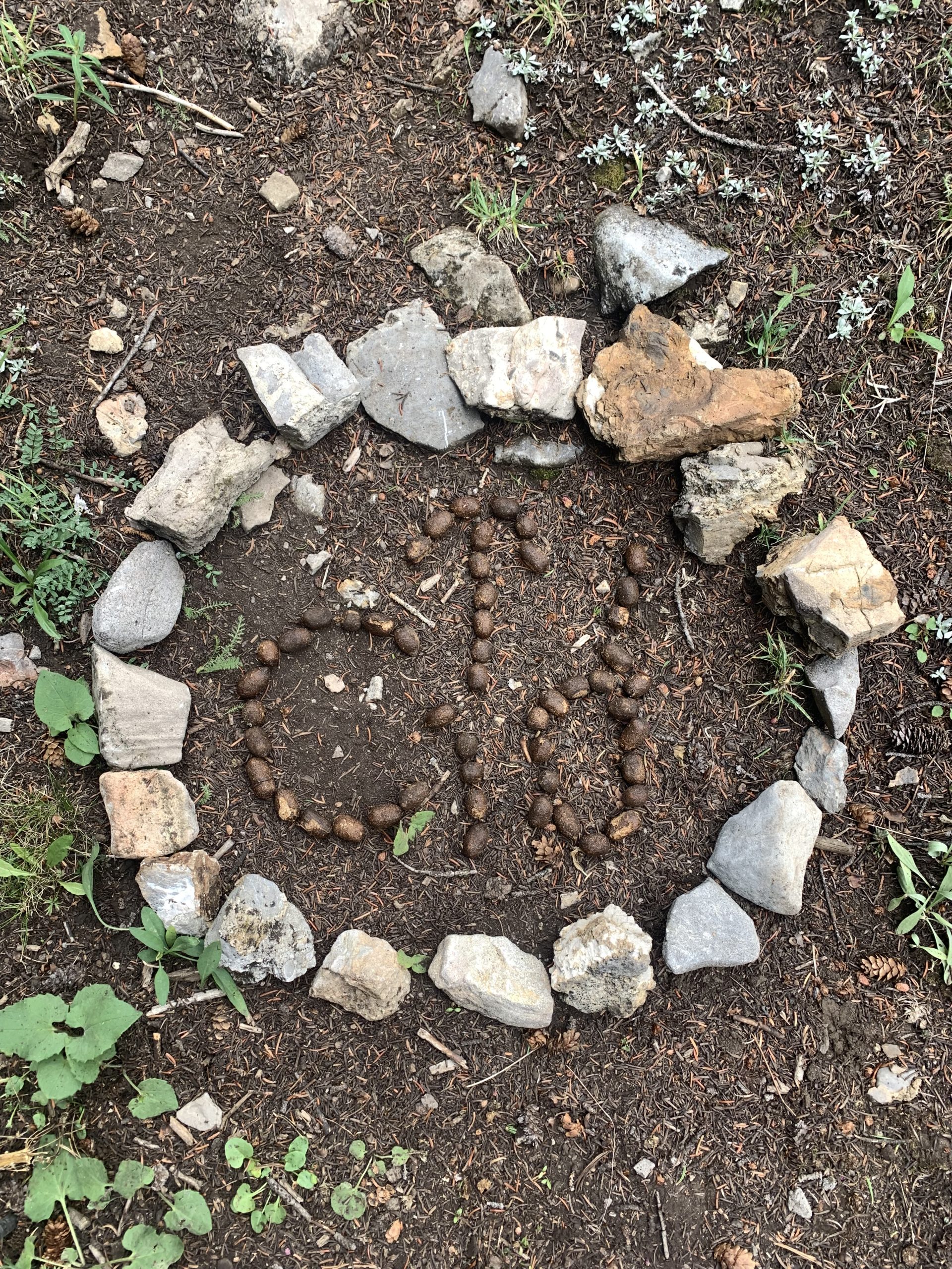 The Hardest Hiking on the CDT Yet - The Trek
