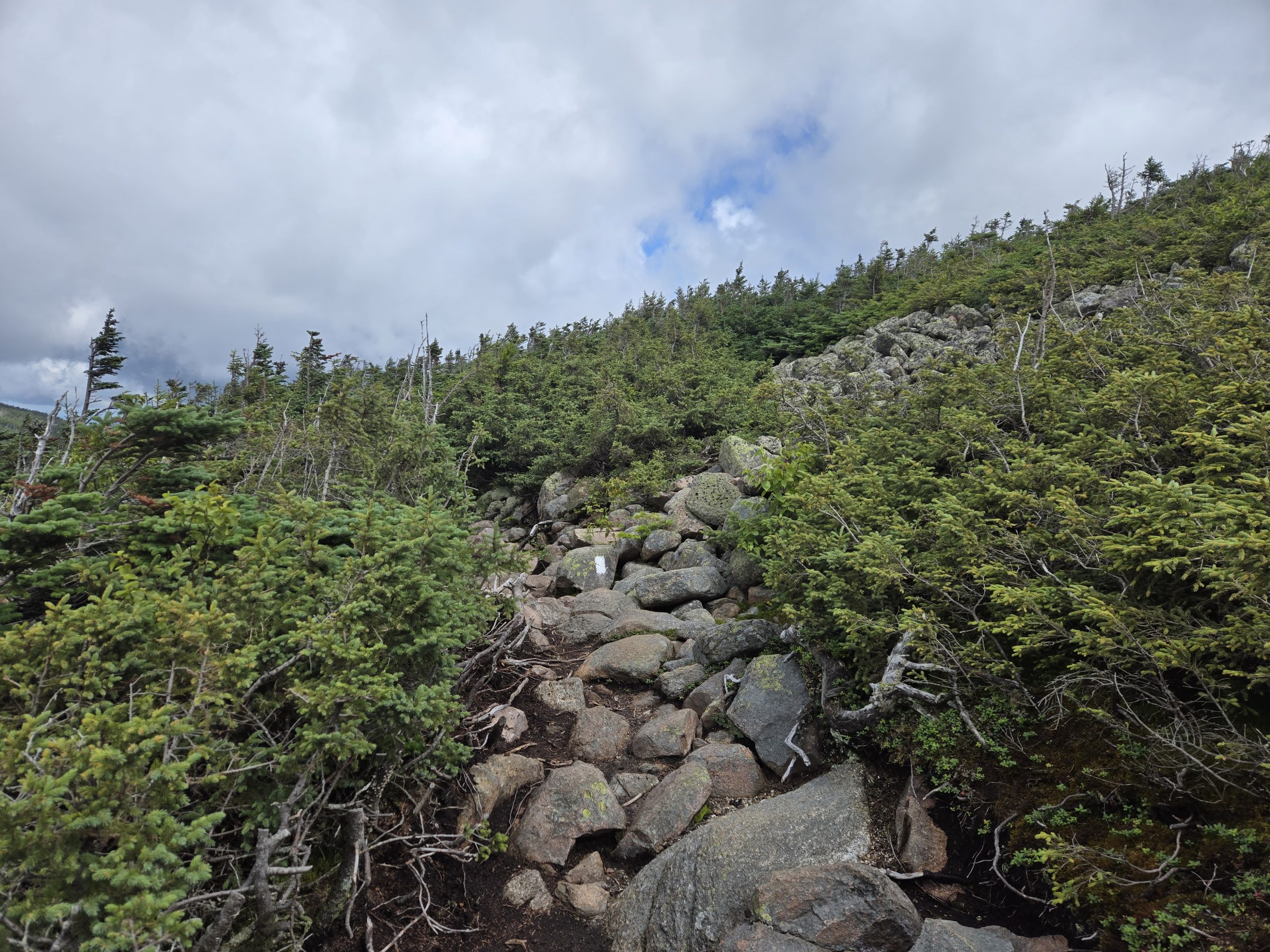 My Journey Through the Whites - AT Flip-Flop - The Trek