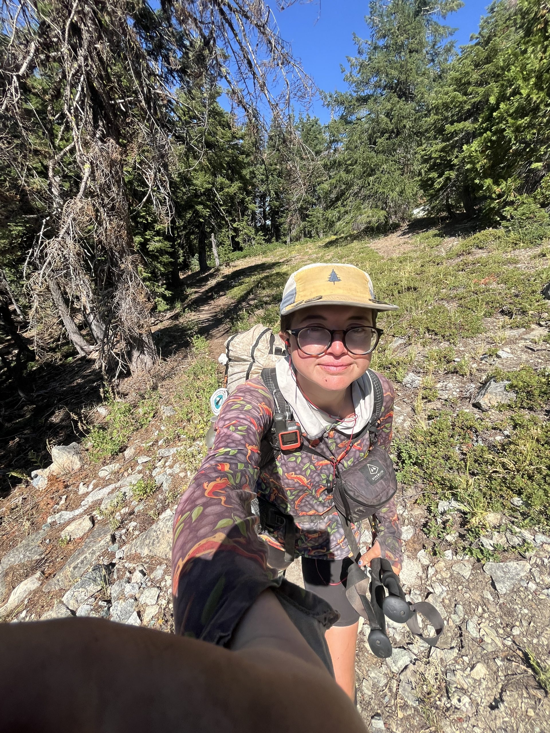 The Catharsis of Trail: Crying my Way to Canada - The Trek