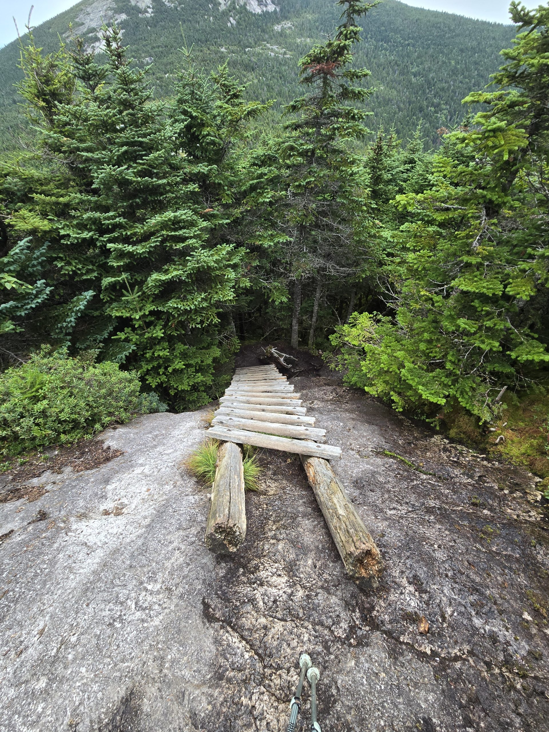 Weeks 7 and 8 Update - AT Flip-Flop - The Trek
