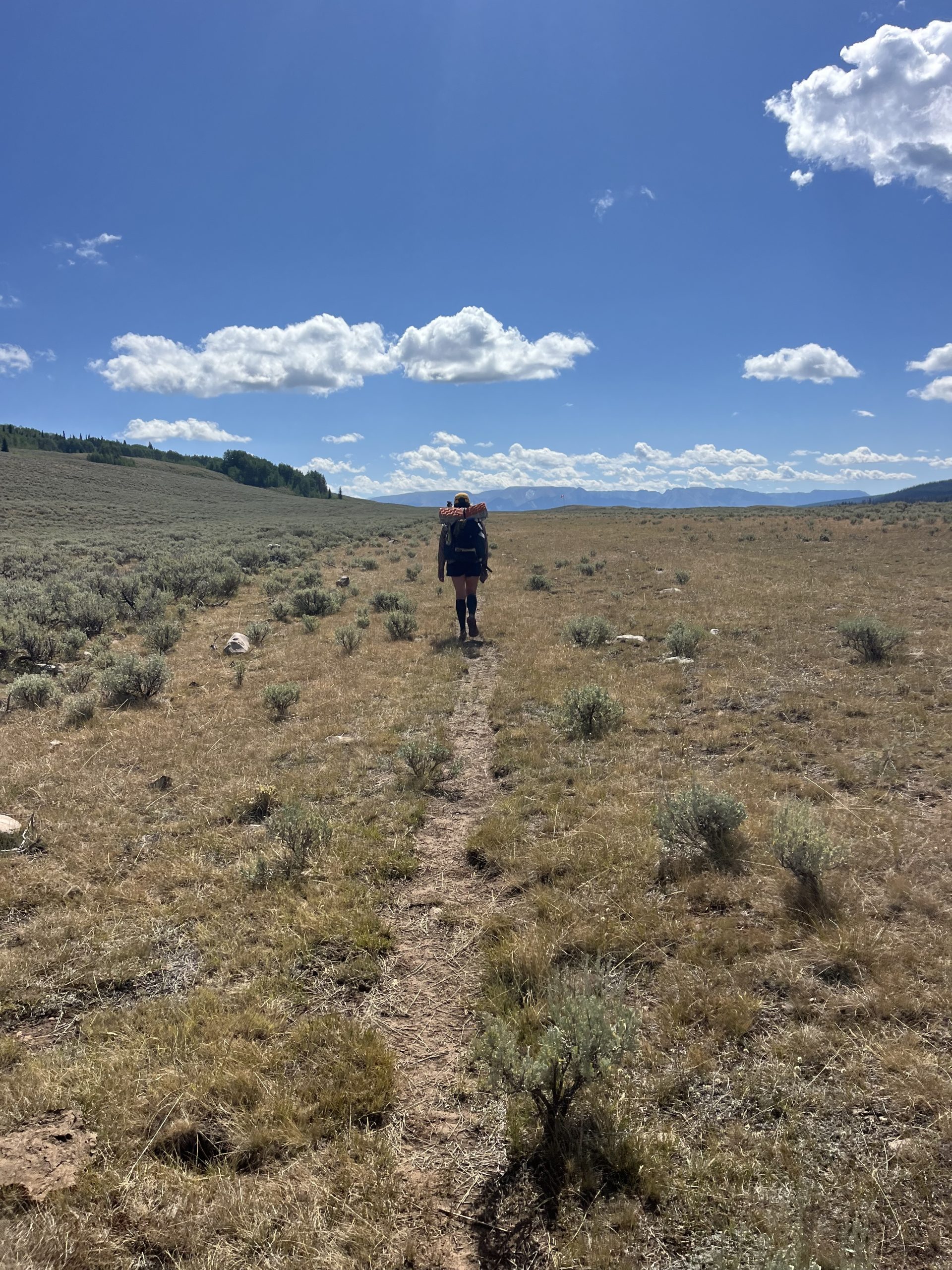 Attempting to Swim Across a River on Trail - The Trek