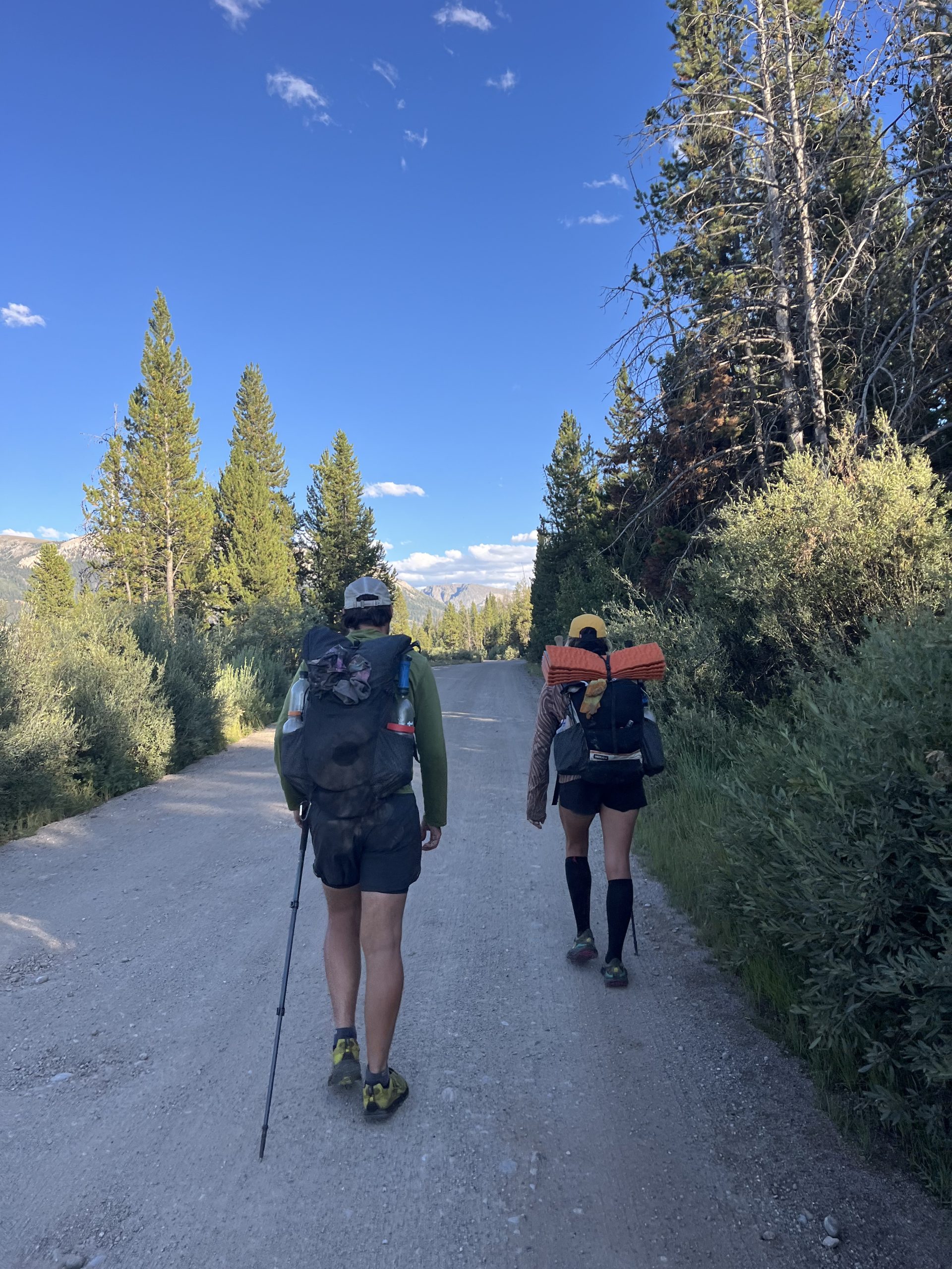 Attempting to Swim Across a River on Trail - The Trek