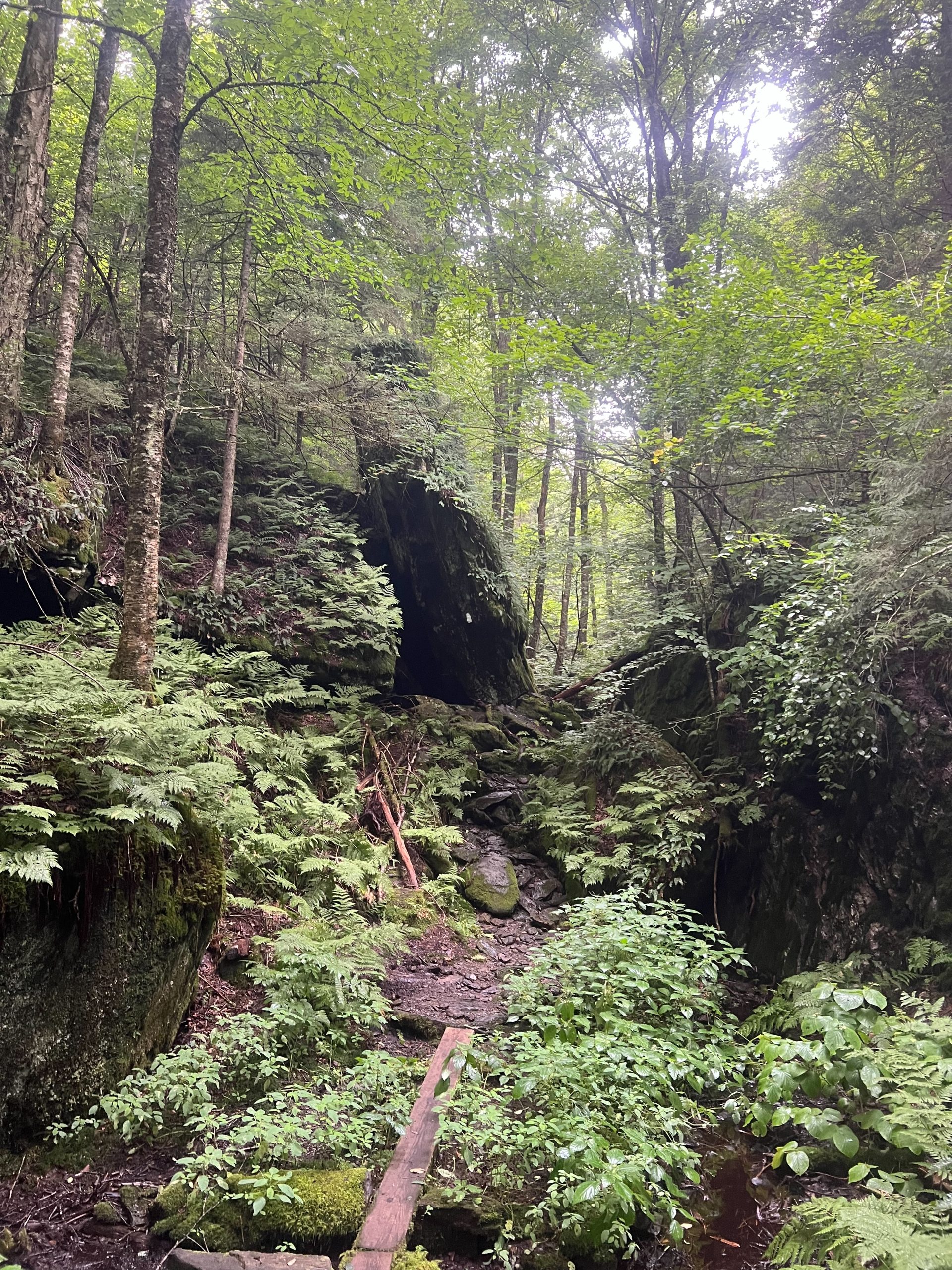 The Grand Finale - Long Trail Edition Part 8 - The Trek
