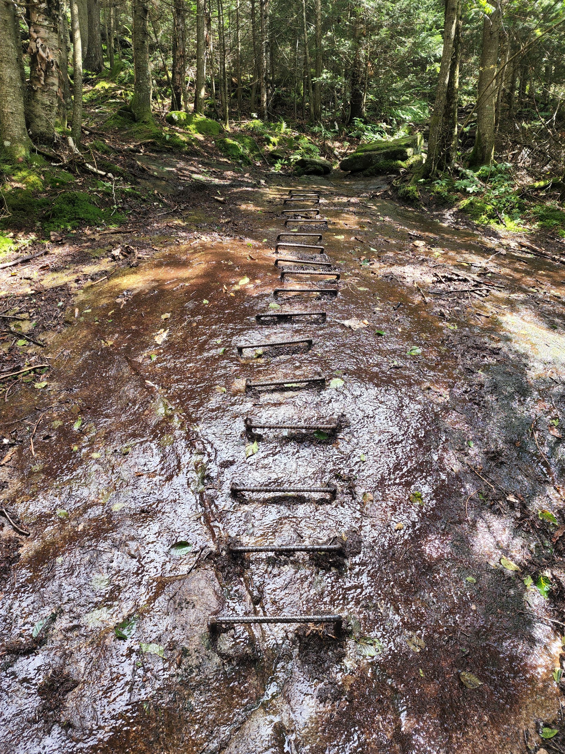 Hike On! - The Trek