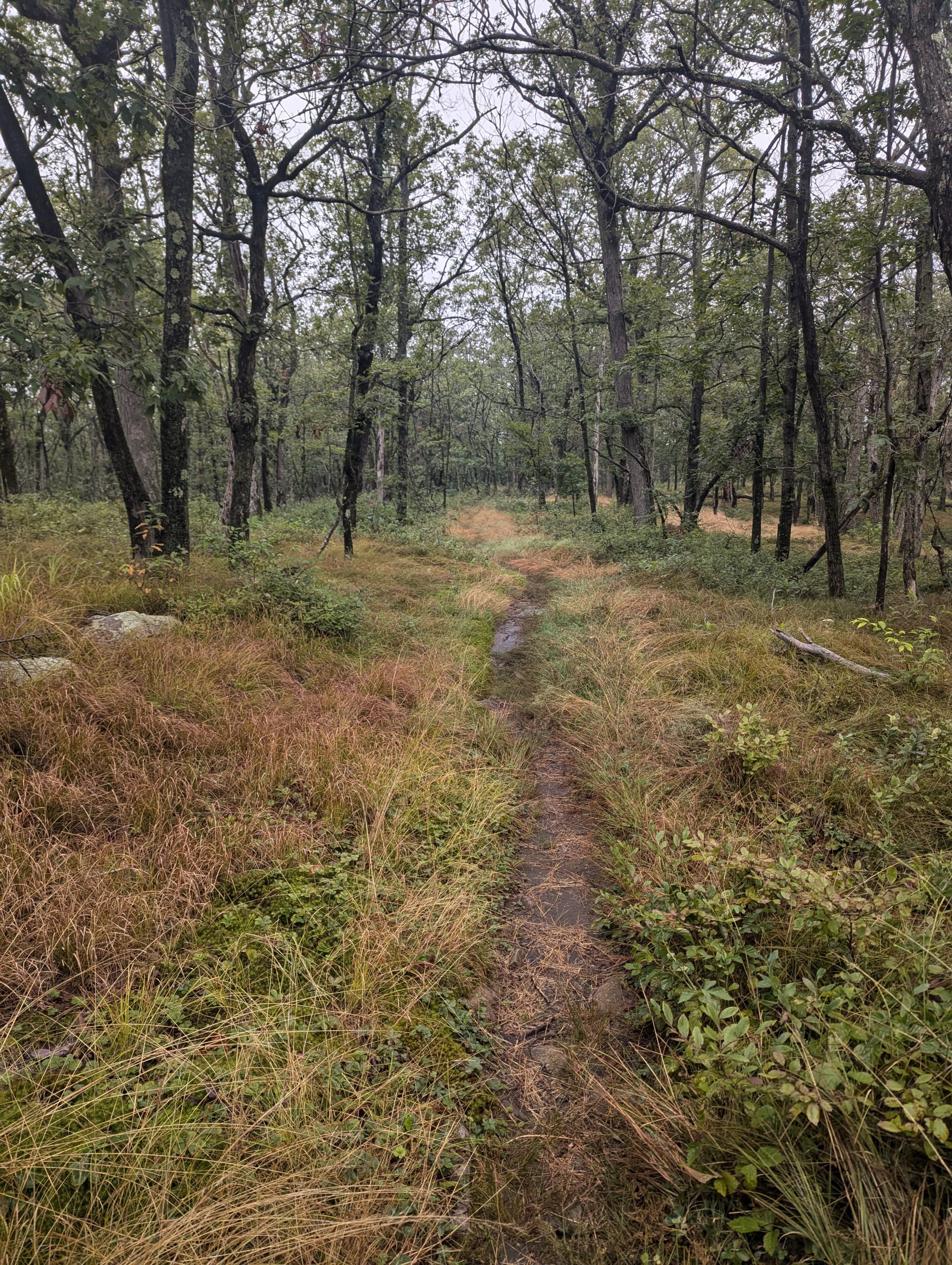 Day 122 - Is This What A Tramily Feels Like? - The Trek