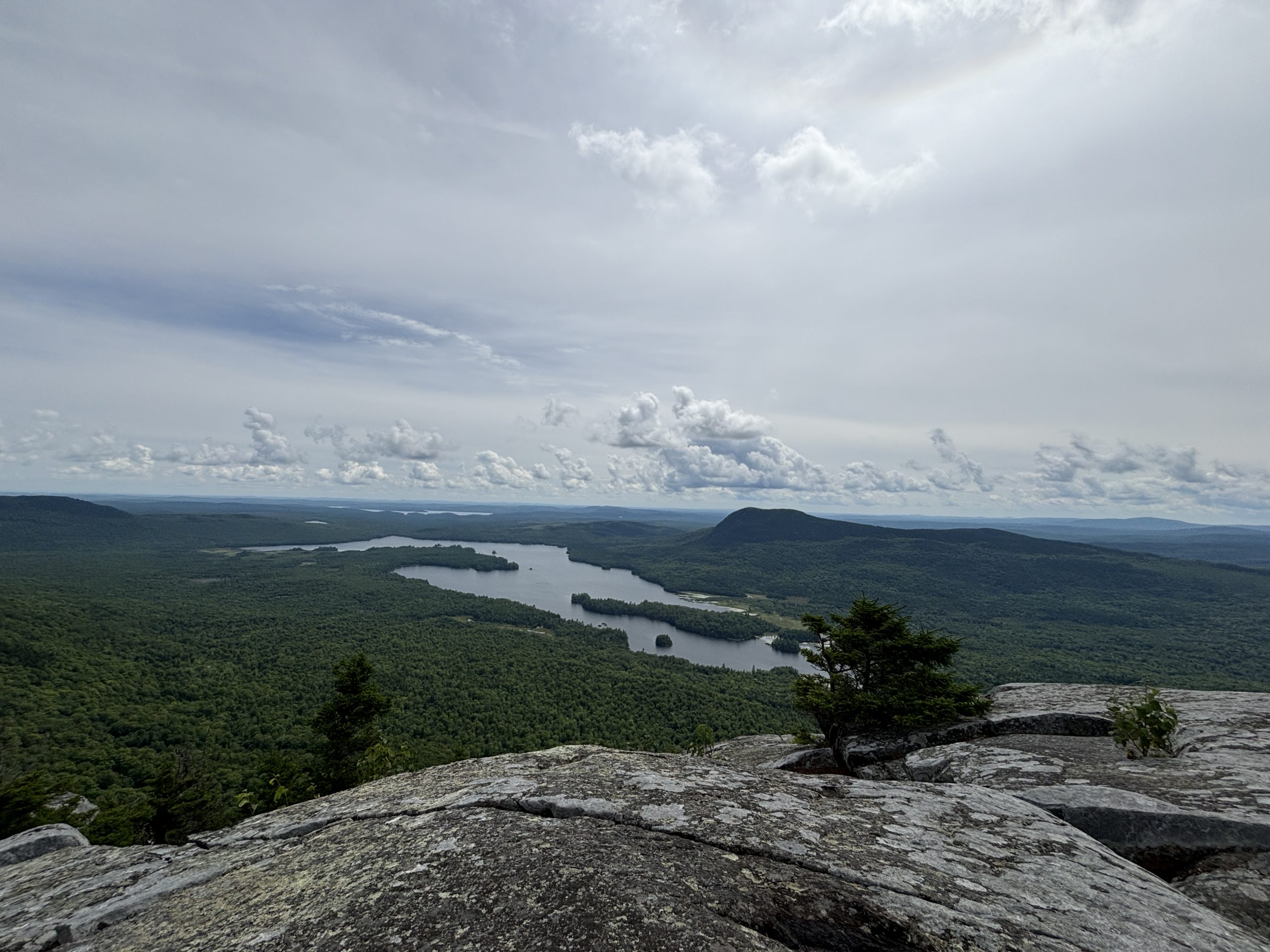 Hurricanes, Huckleberries, and Human Waste in the Hundred Mile ...