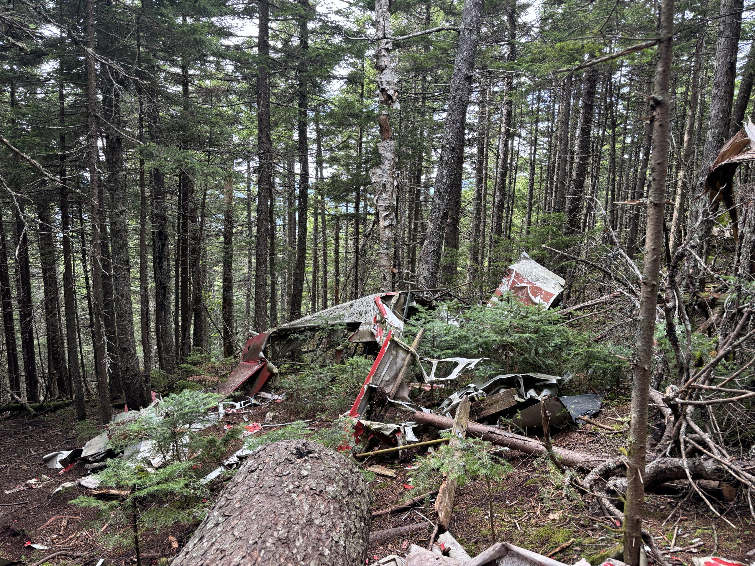Hurricanes, Huckleberries, and Human Waste in the Hundred Mile ...