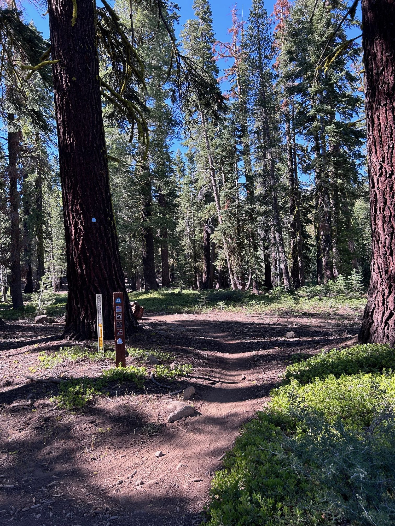 Episode Three: Tahoe City to Brockway Summit - The Trek