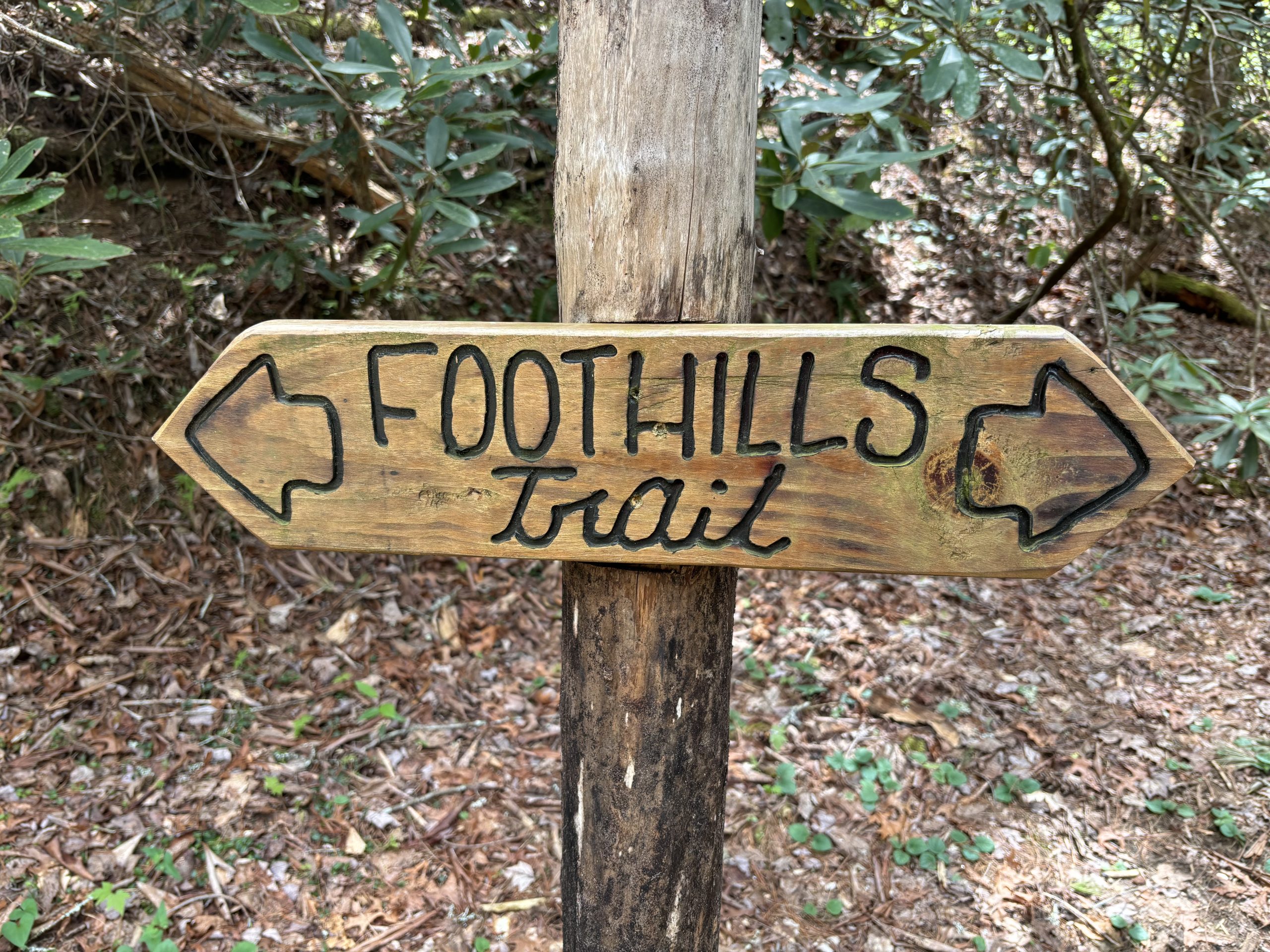 The Foothills Trail: The "Plan" part 1 - The Trek