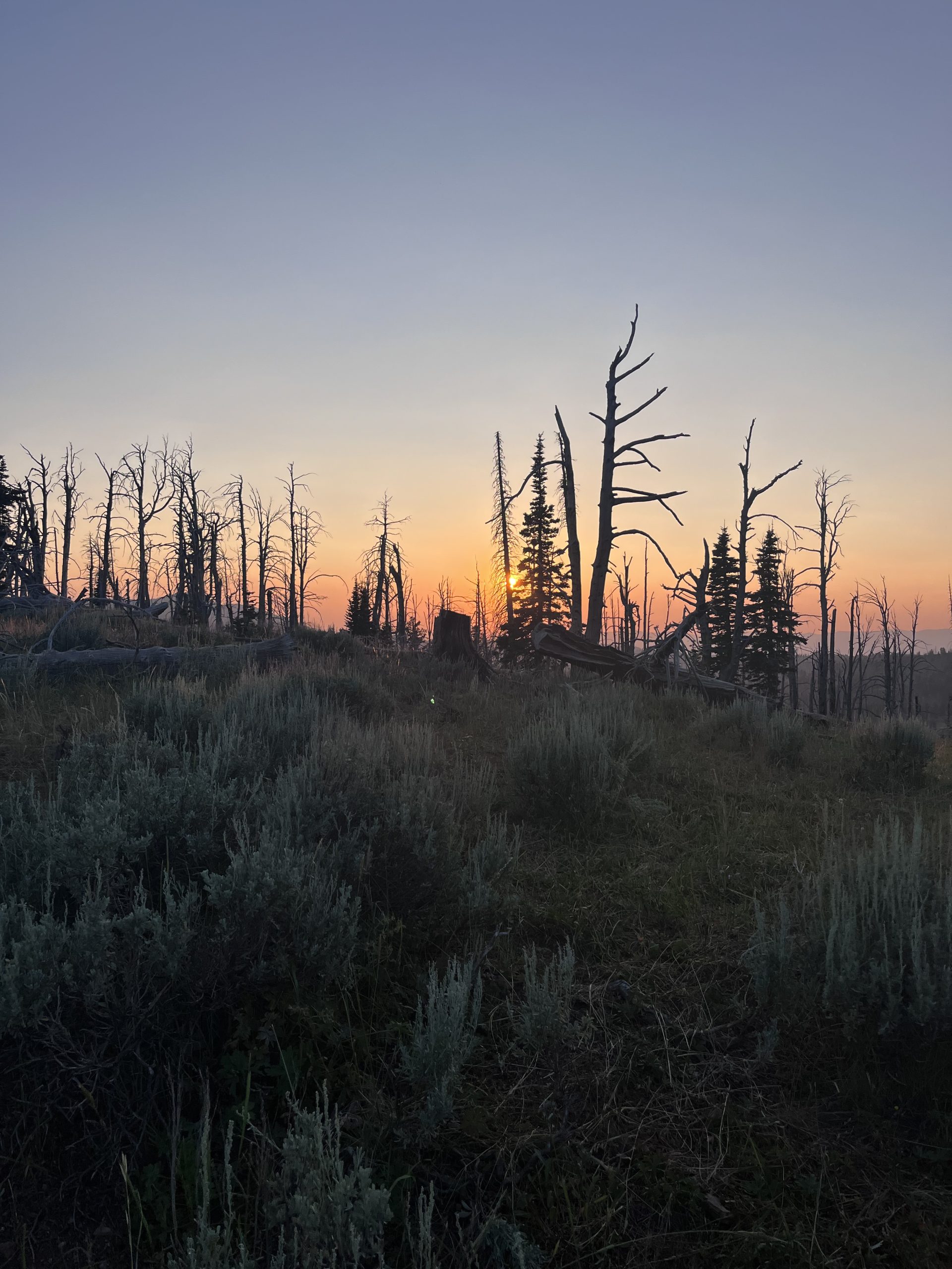 CDT: Finishing Montana, Finally - The Trek