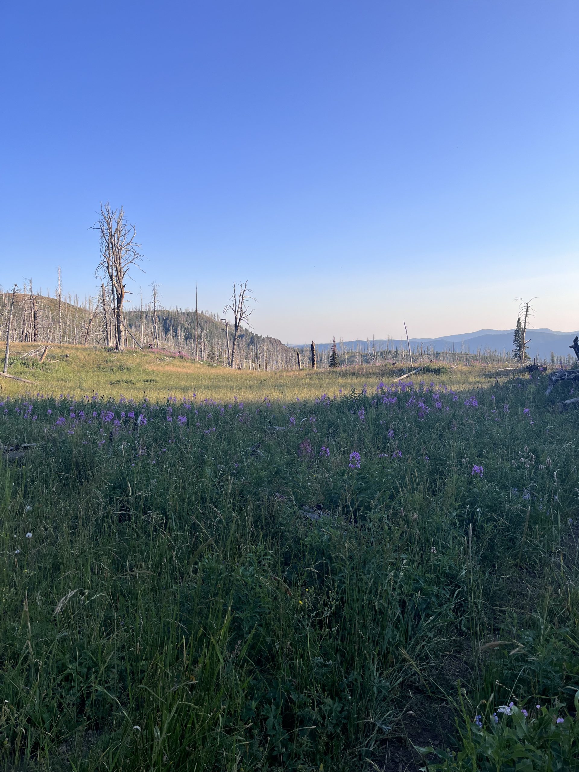 CDT: Finishing Montana, Finally - The Trek