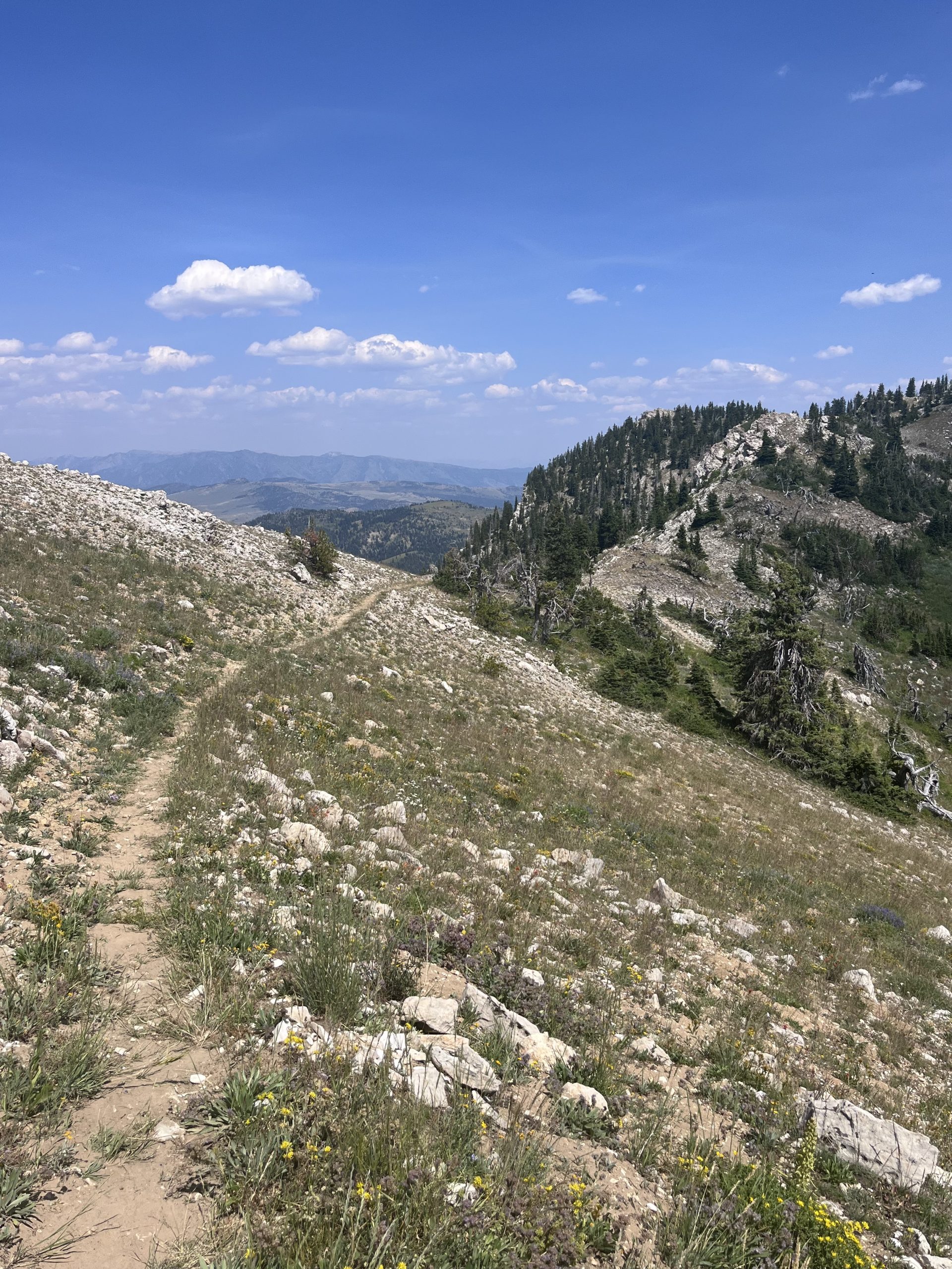 CDT: Finishing Montana, Finally - The Trek