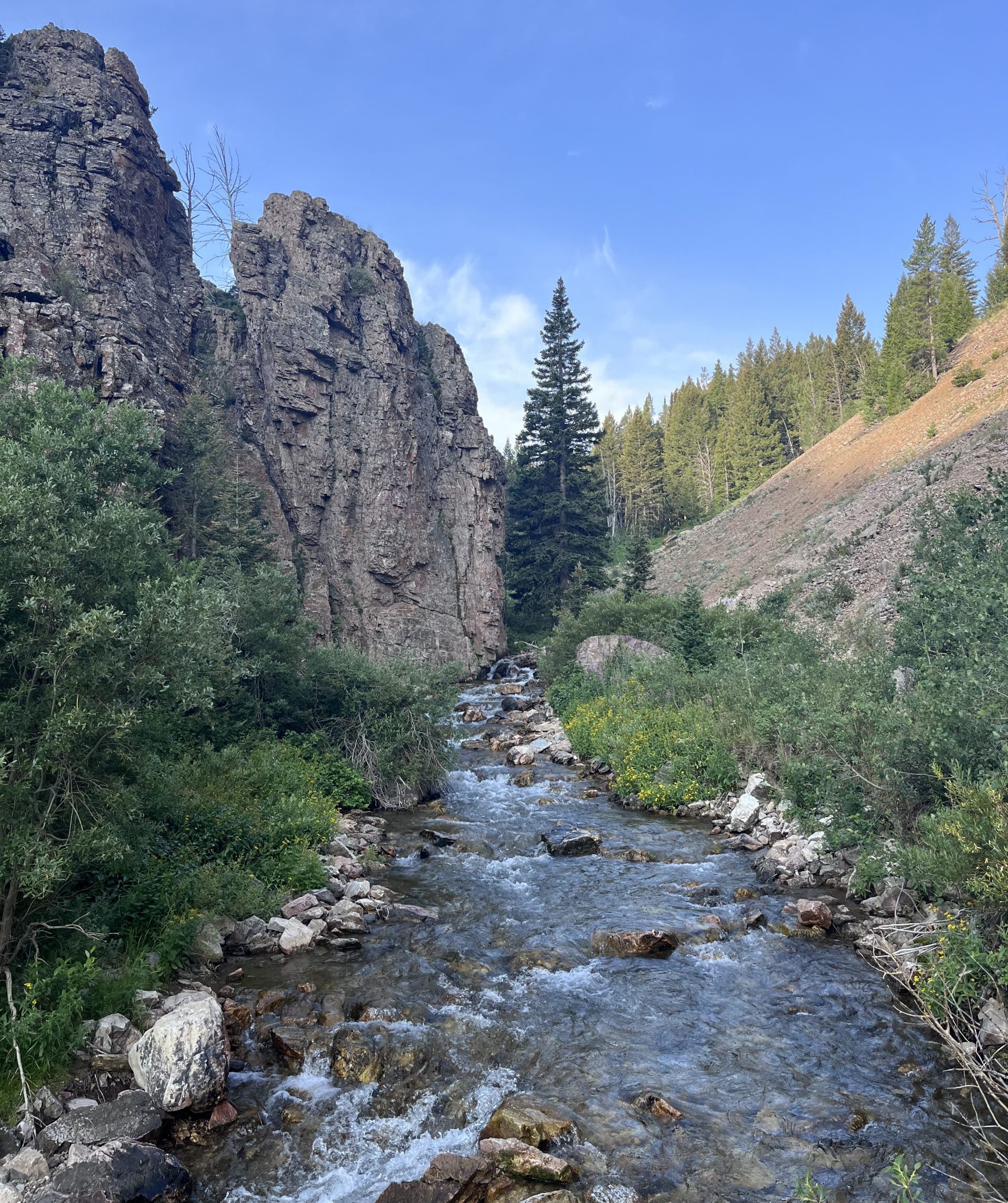 CDT: Finishing Montana, Finally - The Trek