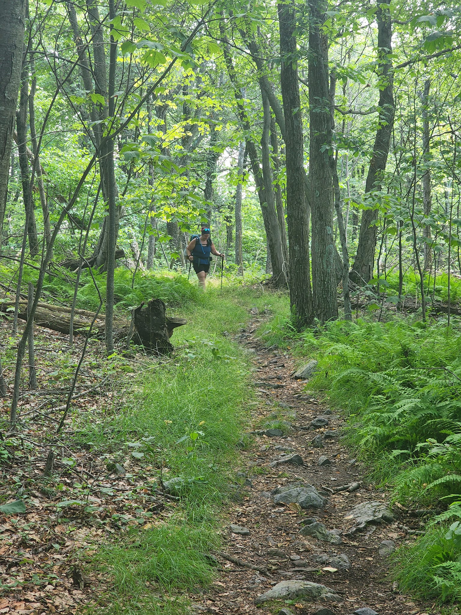 July 13 - Crossing Borders on Foot: A Journey from PA to NJ and Beyond ...
