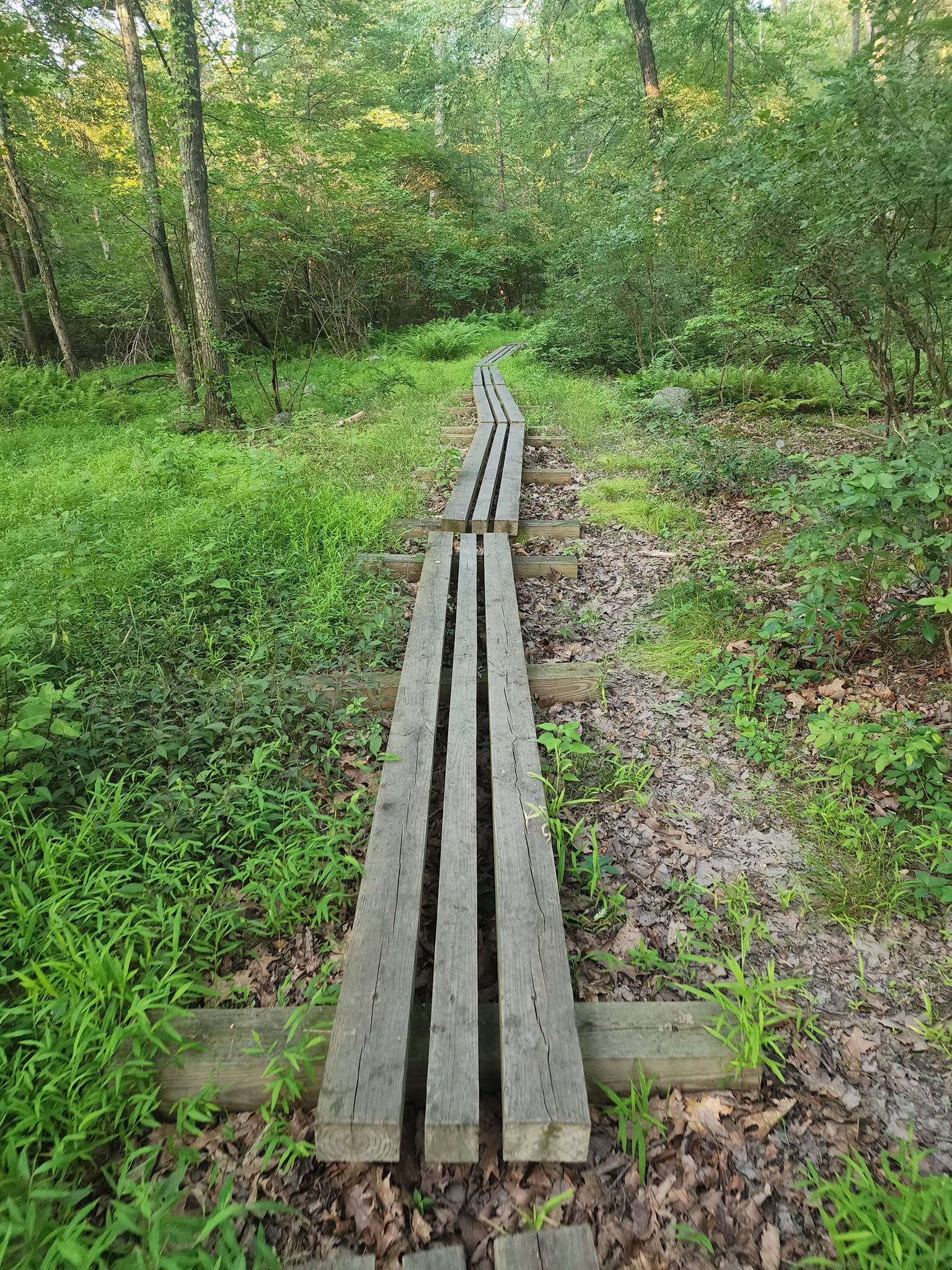 July 13 - Crossing Borders on Foot: A Journey from PA to NJ and Beyond ...