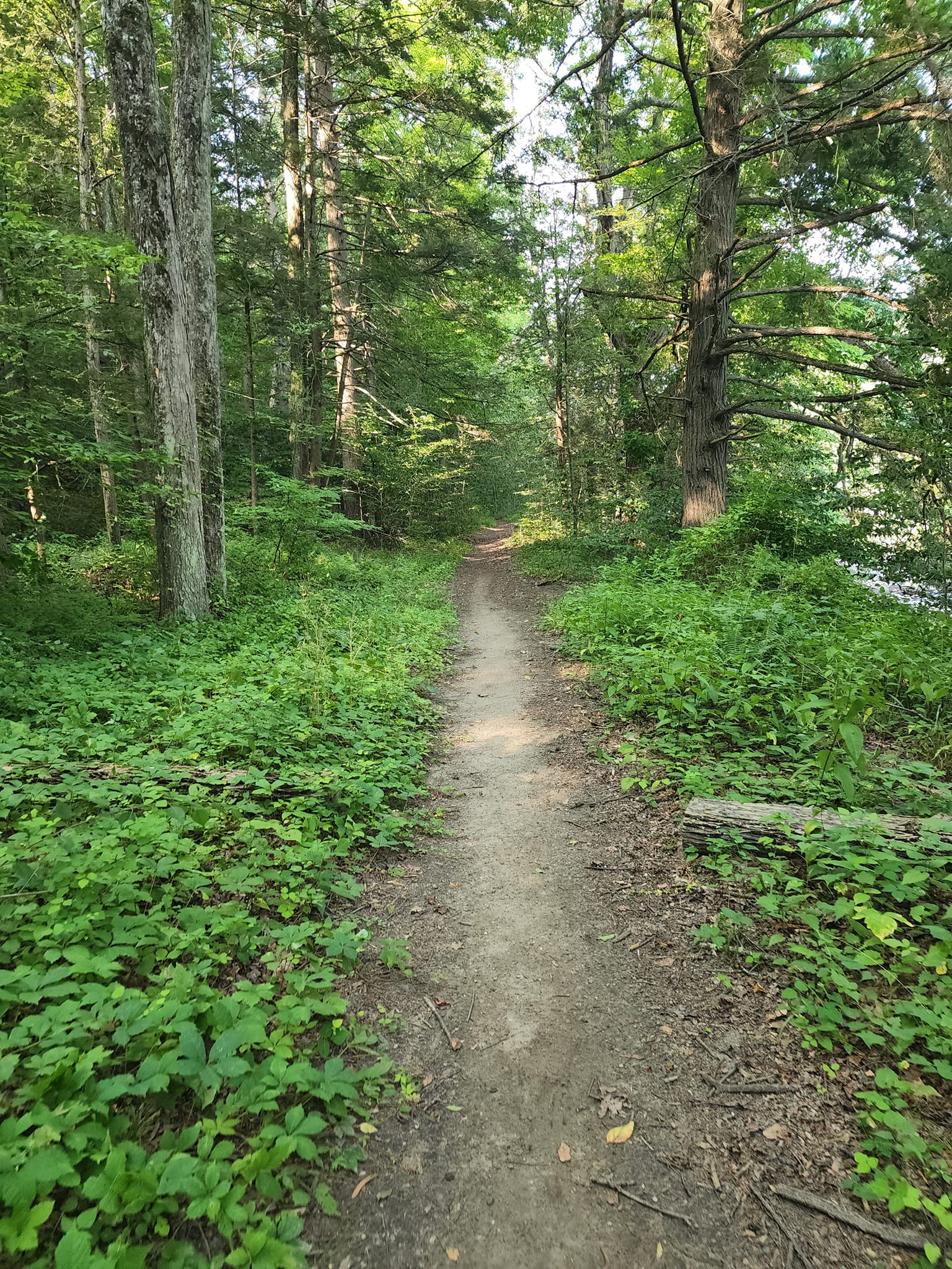 July 27 - Hiking Connecticut -Chasing Pastries and Adventure: - The Trek