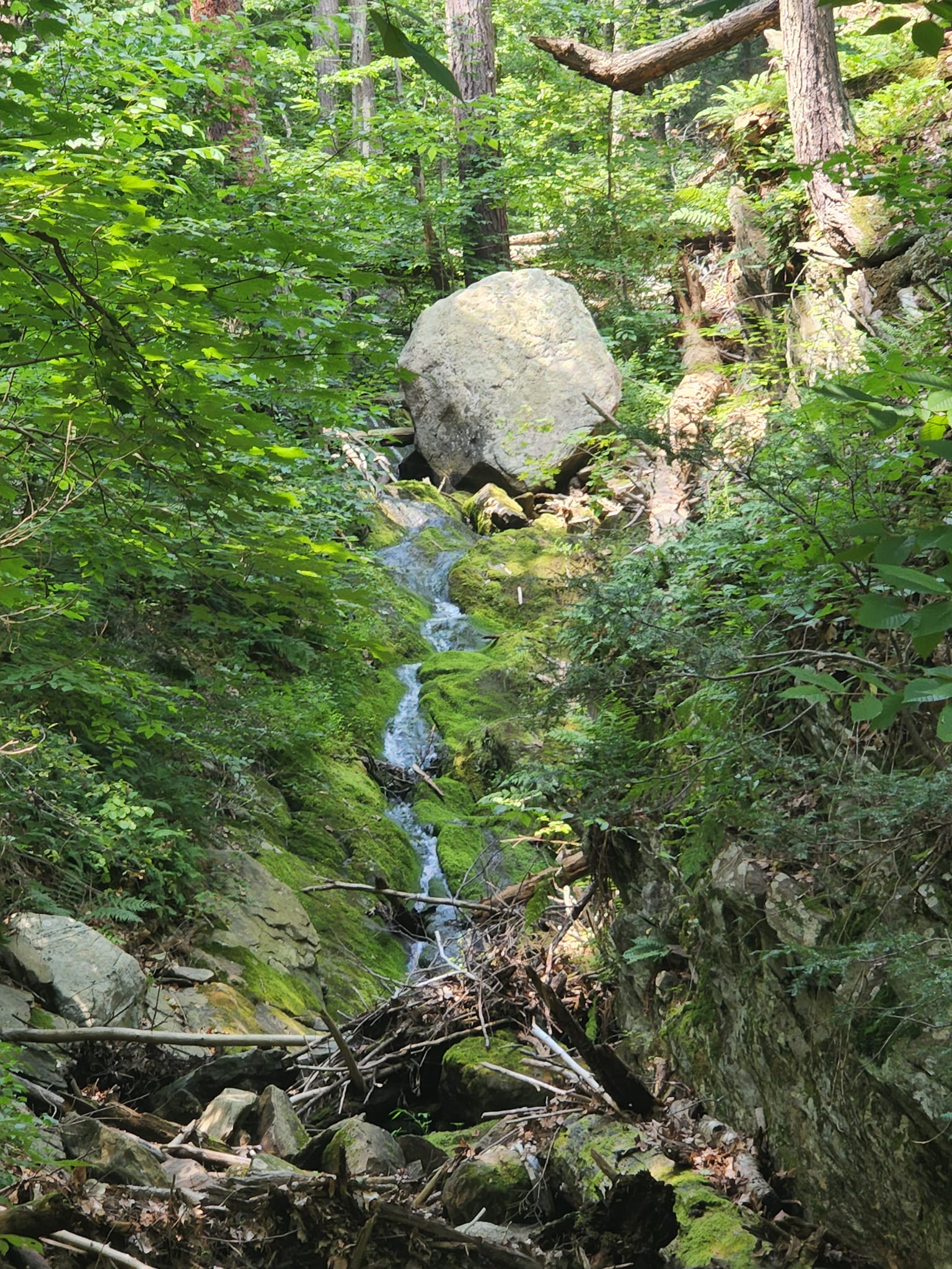 July 27 - Hiking Connecticut -Chasing Pastries and Adventure: - The Trek