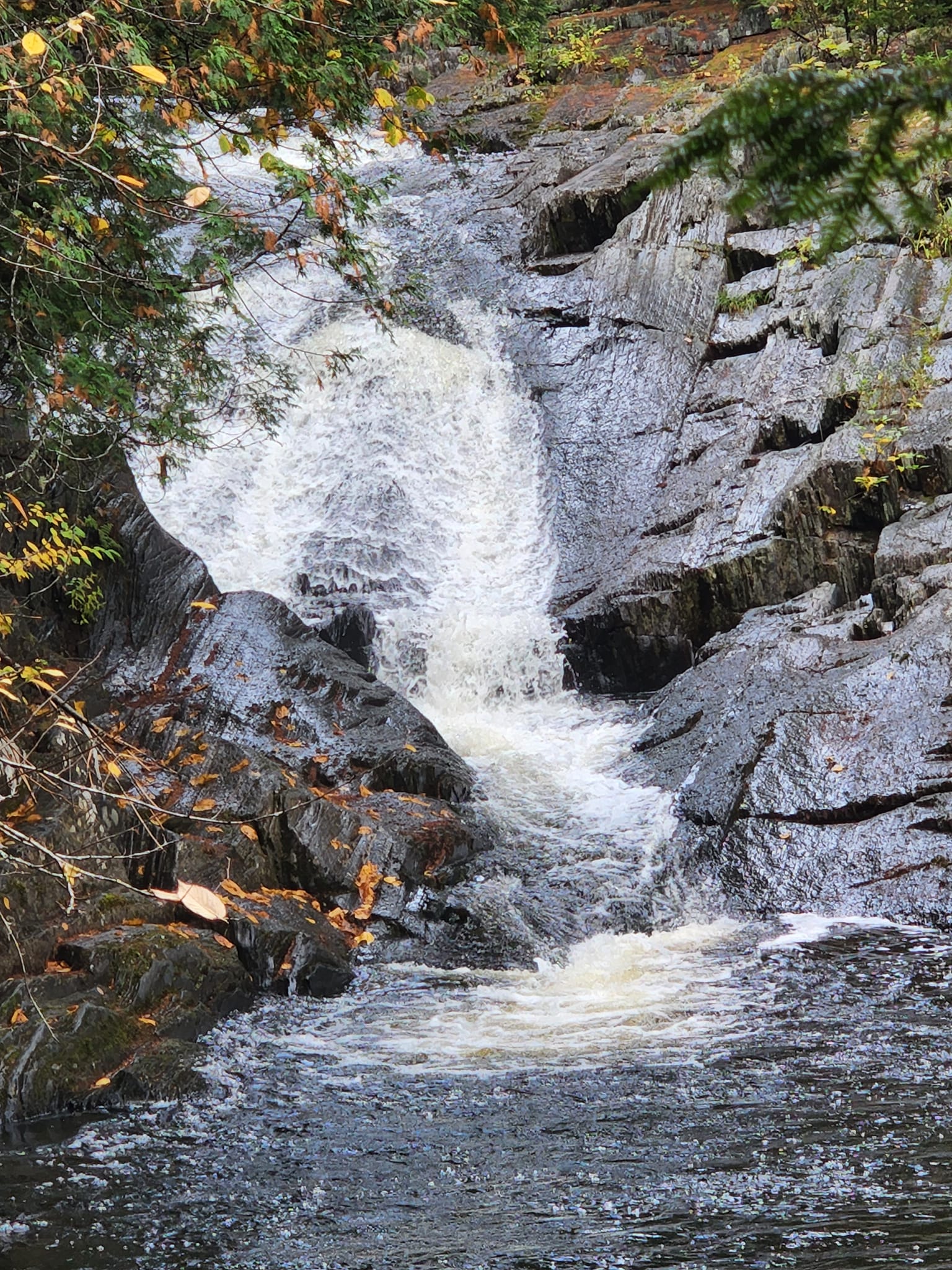 September 27 - Trail Tales: Wounds, Woods, and Wild Moments - The Trek