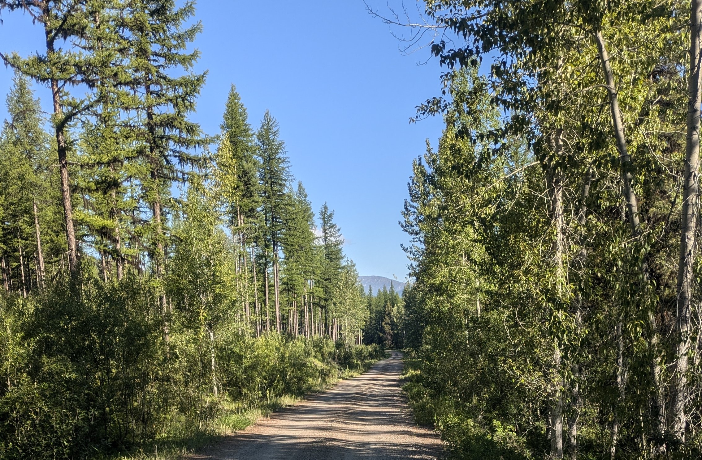 PNT Section 1, Day 6: My First 20-Mile Day - The Trek