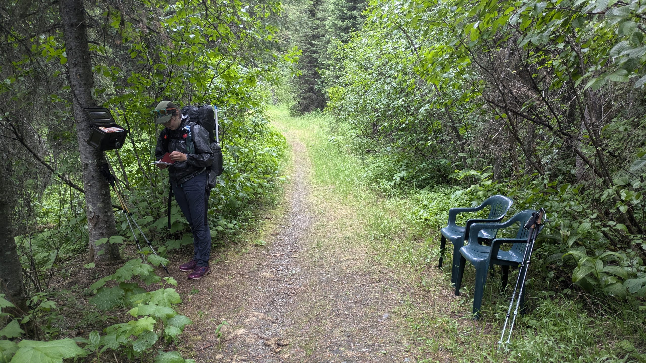 PNT Section 1, Day 8: Drying off at the Mt. Wam Lookout - The Trek