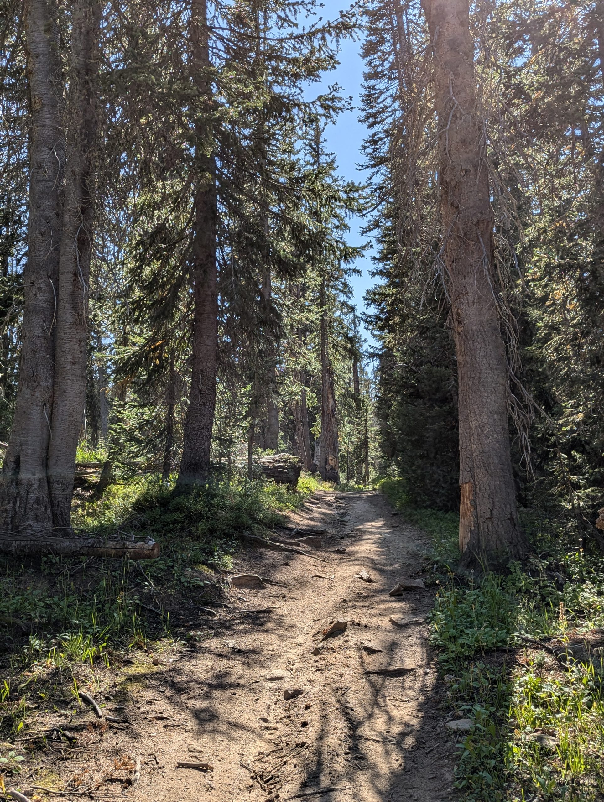 CDT: Entering Colorado - The Trek