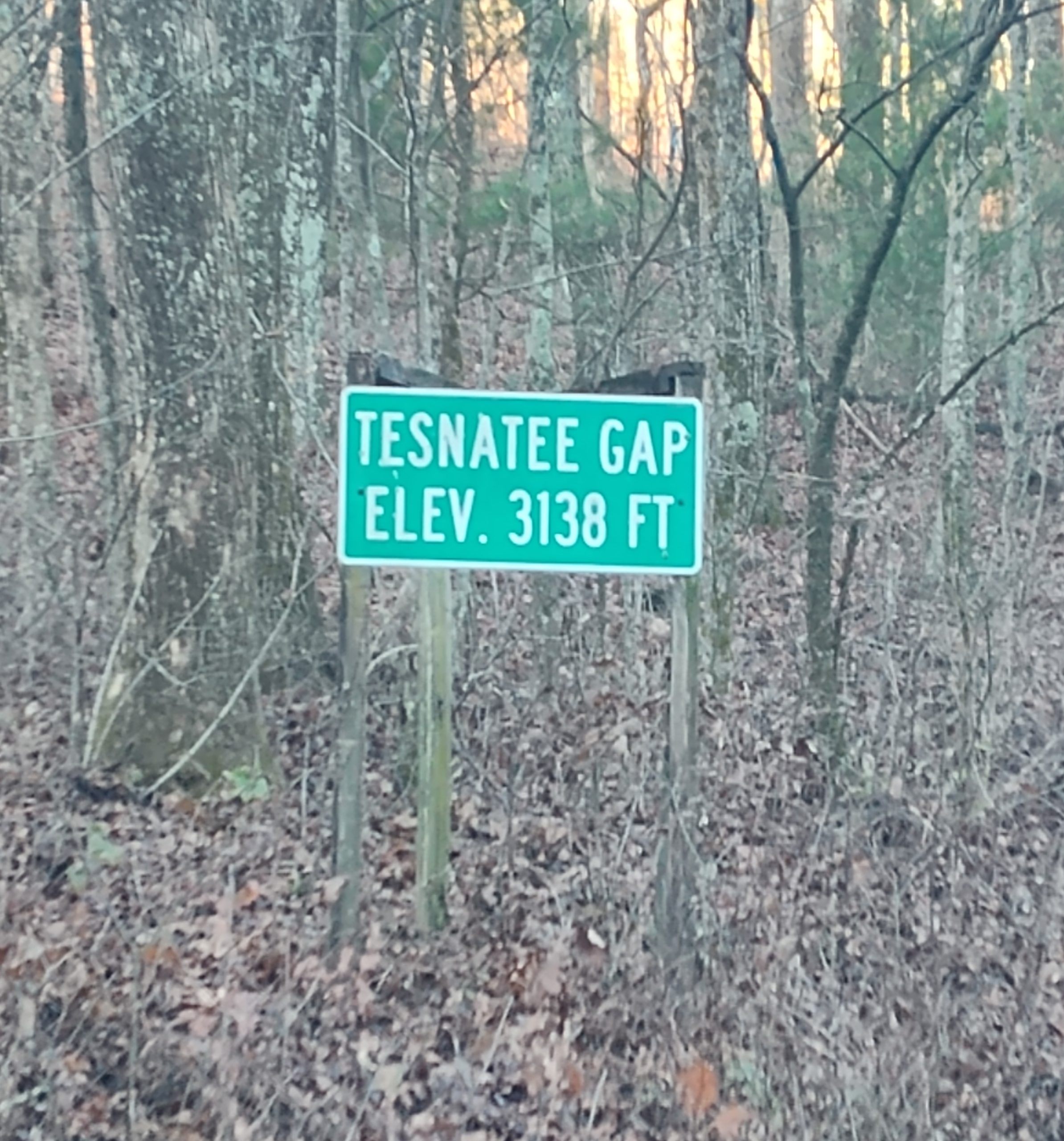 Eerie Wake Up Call on the Appalachian Trail - The Trek