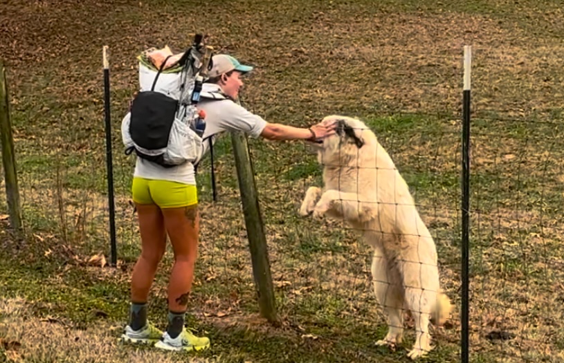 Fogged Roads and Farm Animals - The Trek