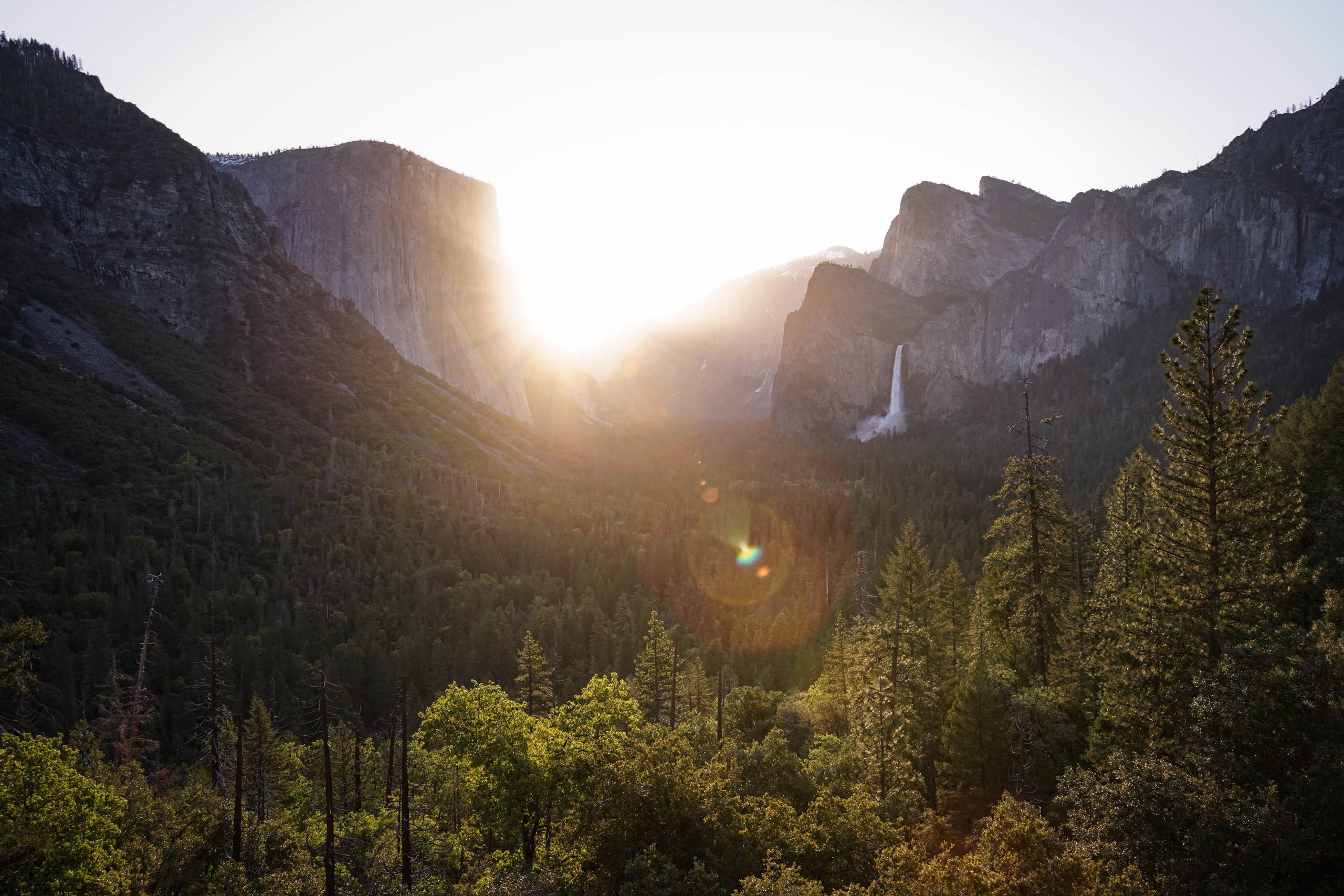 Why the PCT? - The Trek