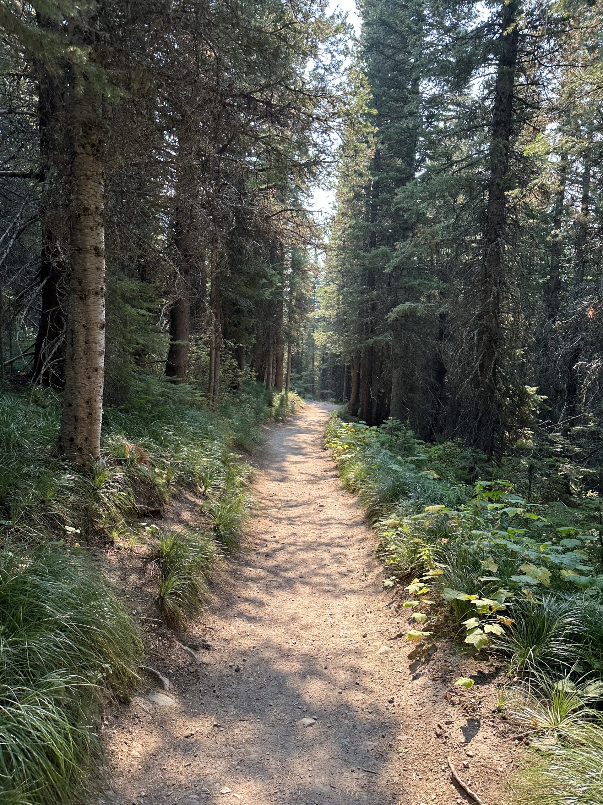 Final Preparations for the “Long Walk” - The Trek