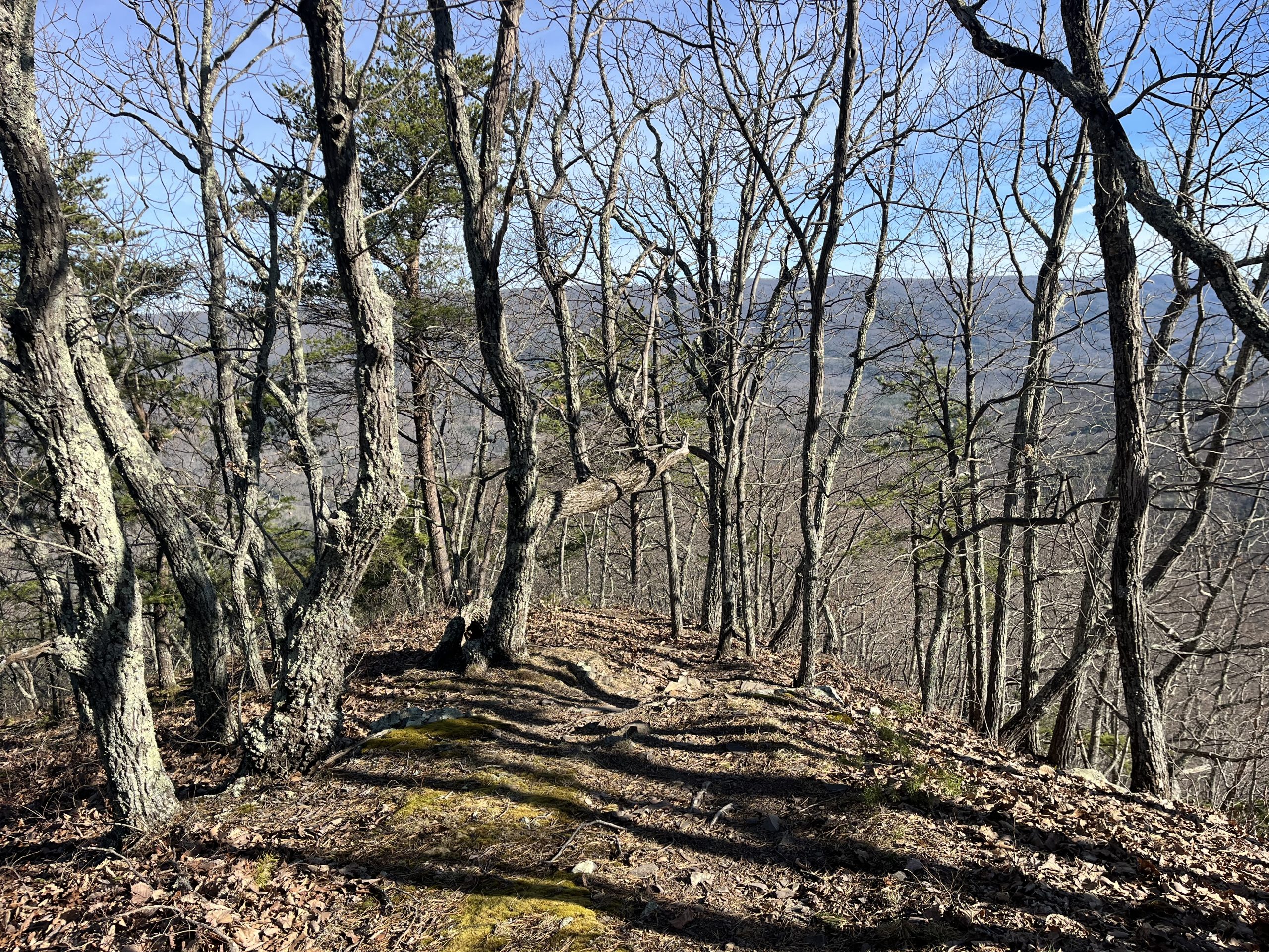 High Highs and Low Lows on Trail - The Trek