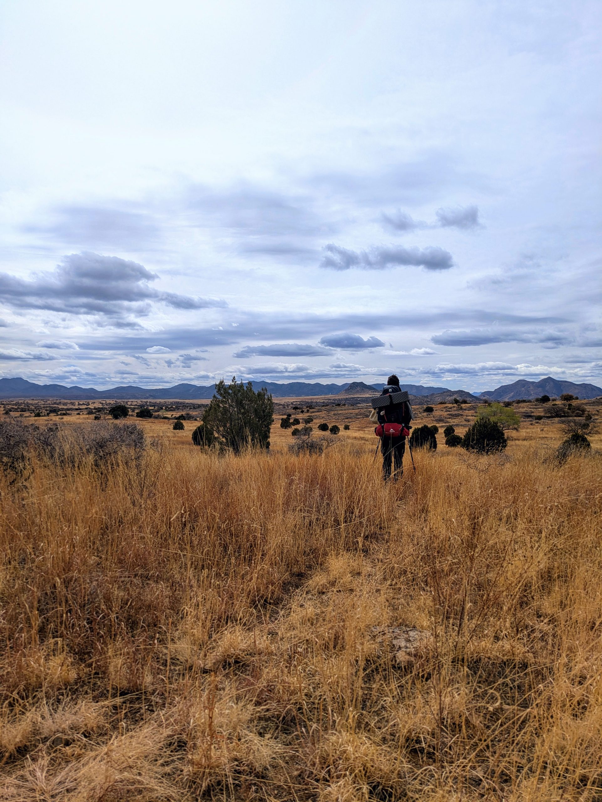 The hiking heroes' society? First glimpses of American hiking culture ...