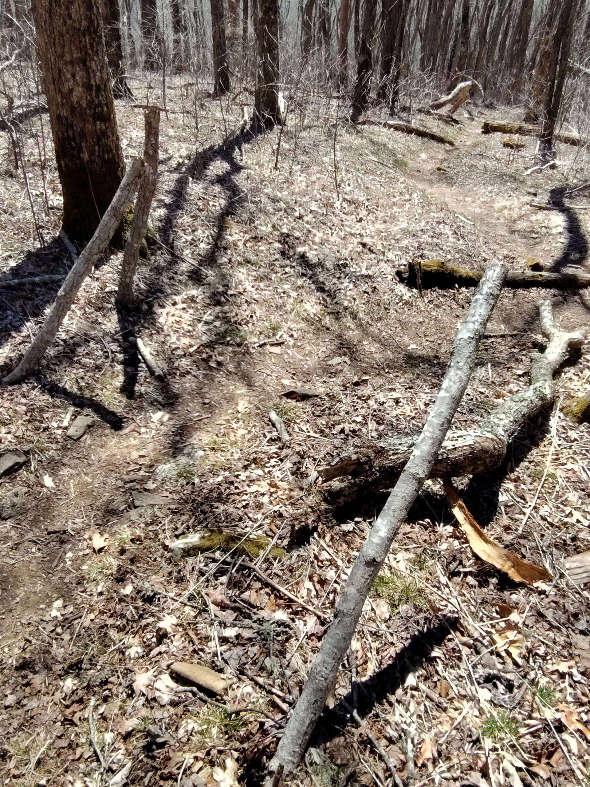 What A Long Strange Trip Its Been on the Appalachian Trail - The Trek