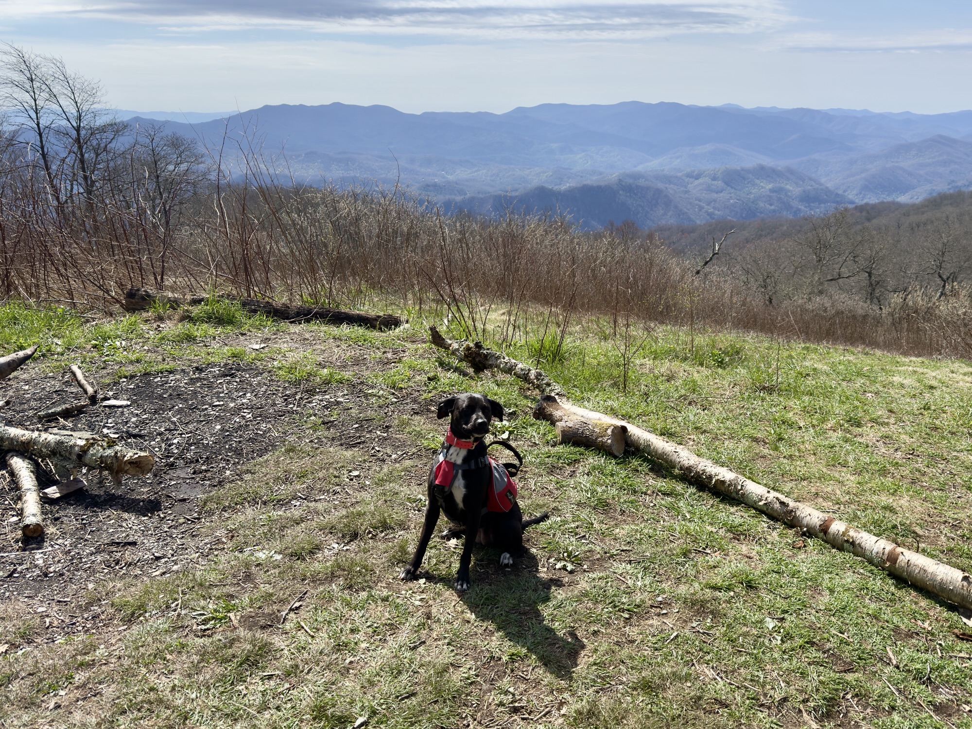 Days 16-18: Three Days, Two Mice, One Trail - The Trek