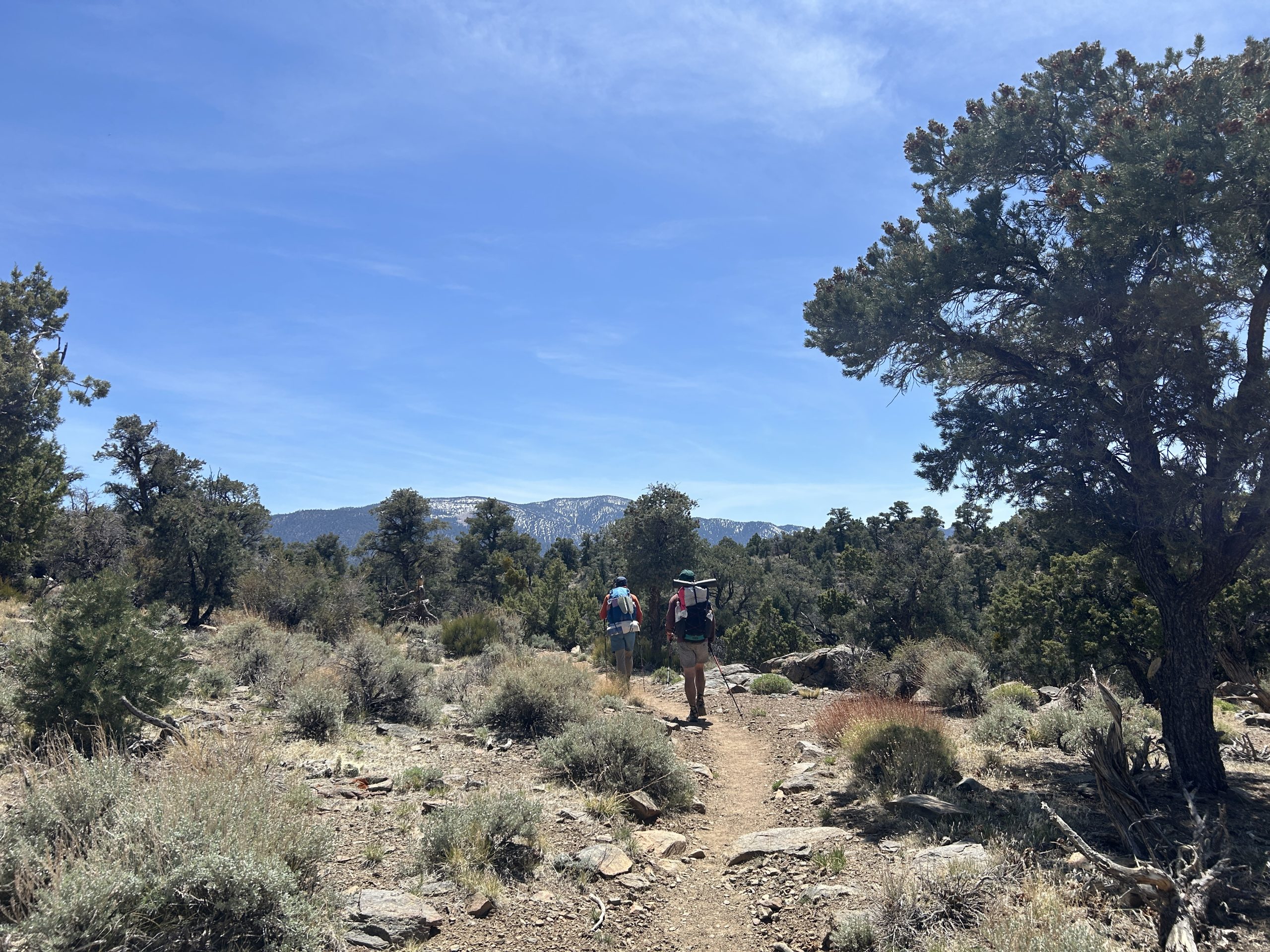 PCT Days 18-22: Big Bear, Snow, and Hotspring - The Trek