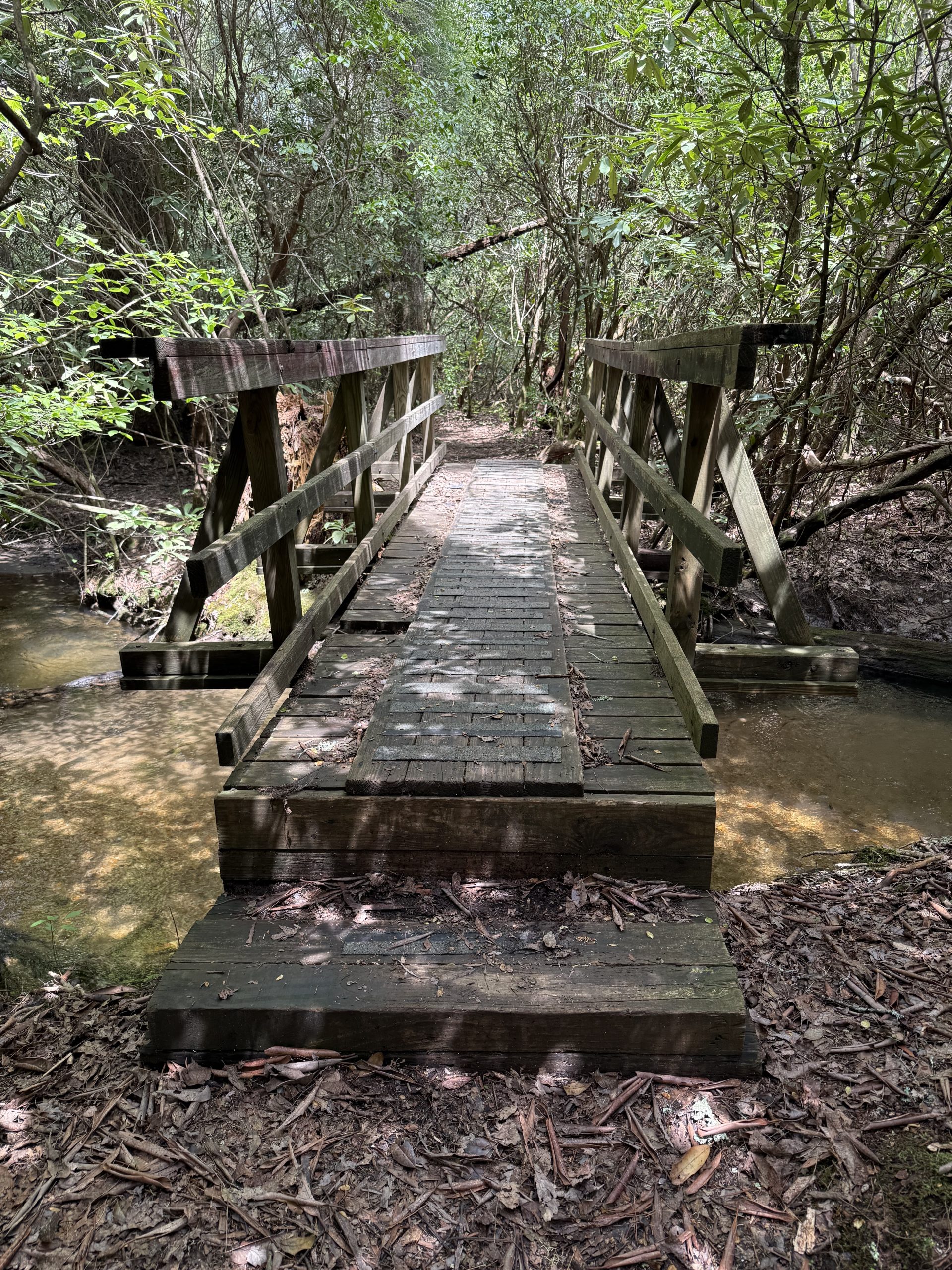 A day of Misjudgment - The Trek