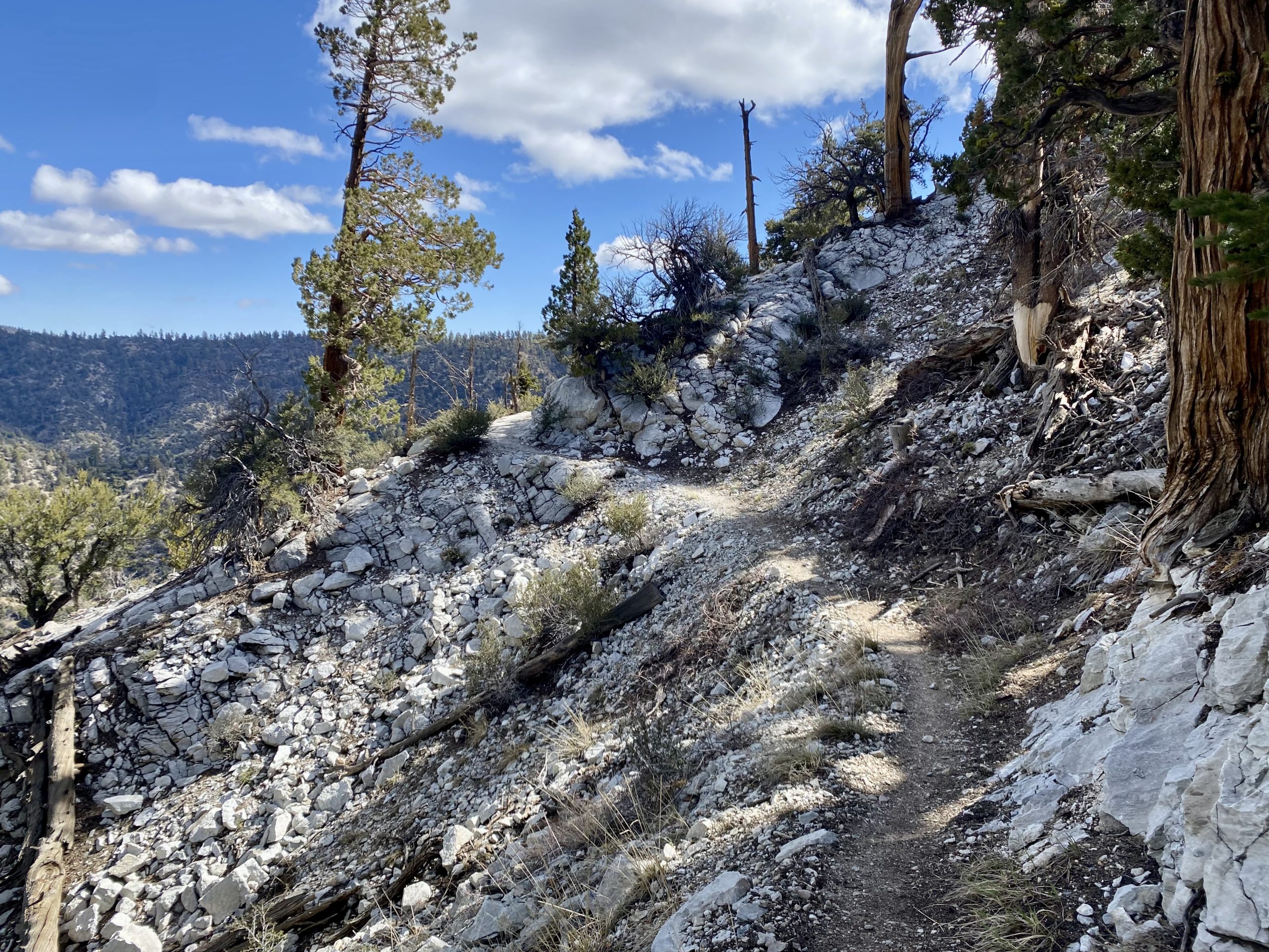 Week 3 on the PCT: the vanishing trail - The Trek