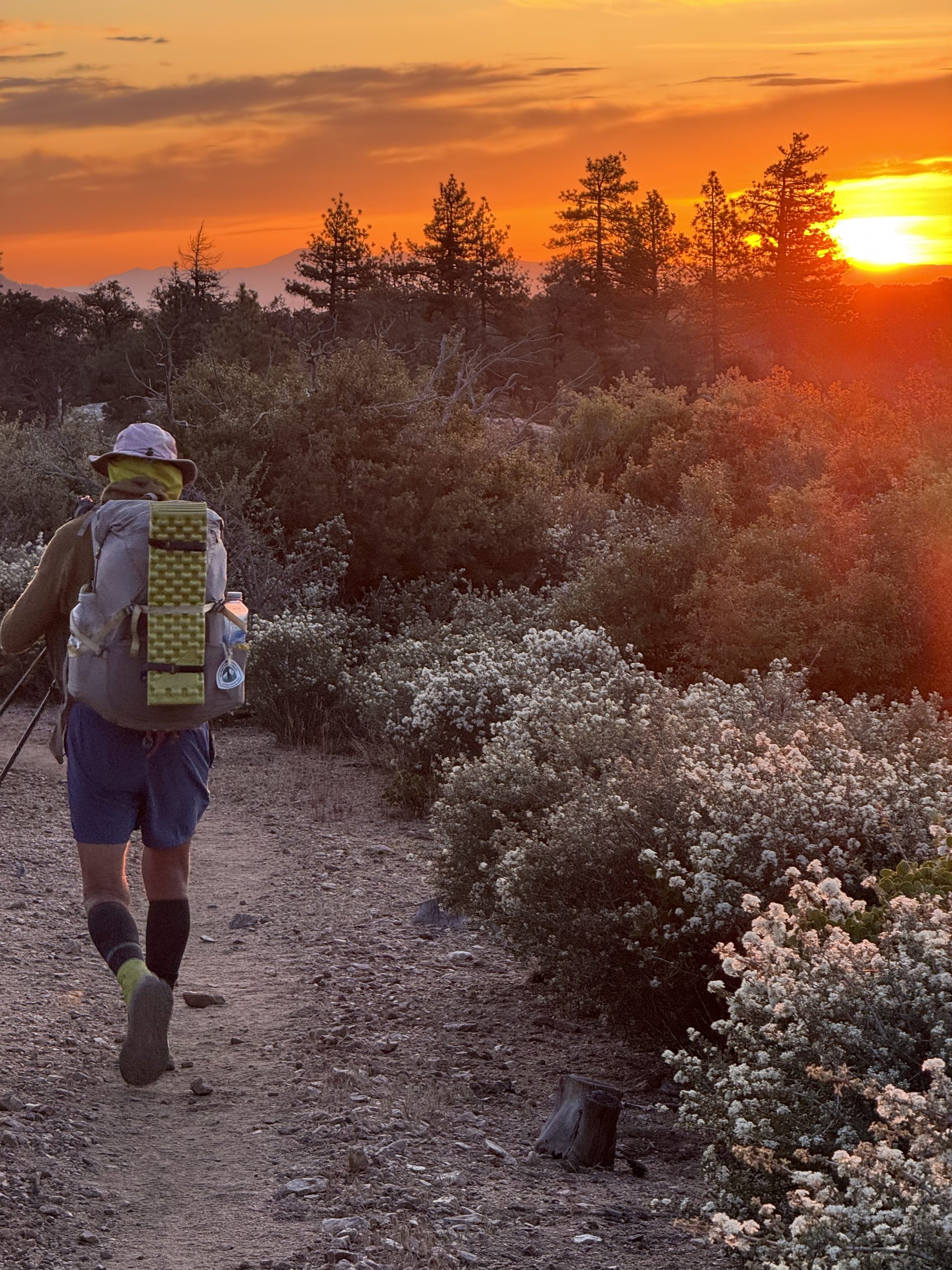 Que Sierra Sierra - Where the Mountains Will Be Will Be - The Trek