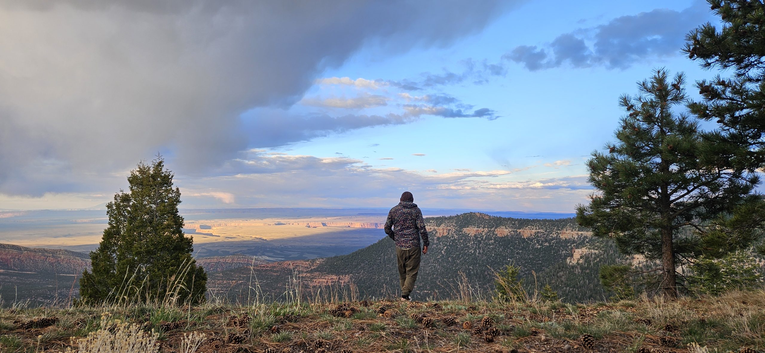 The Arizona Trail: Should I finish my hike? - The Trek