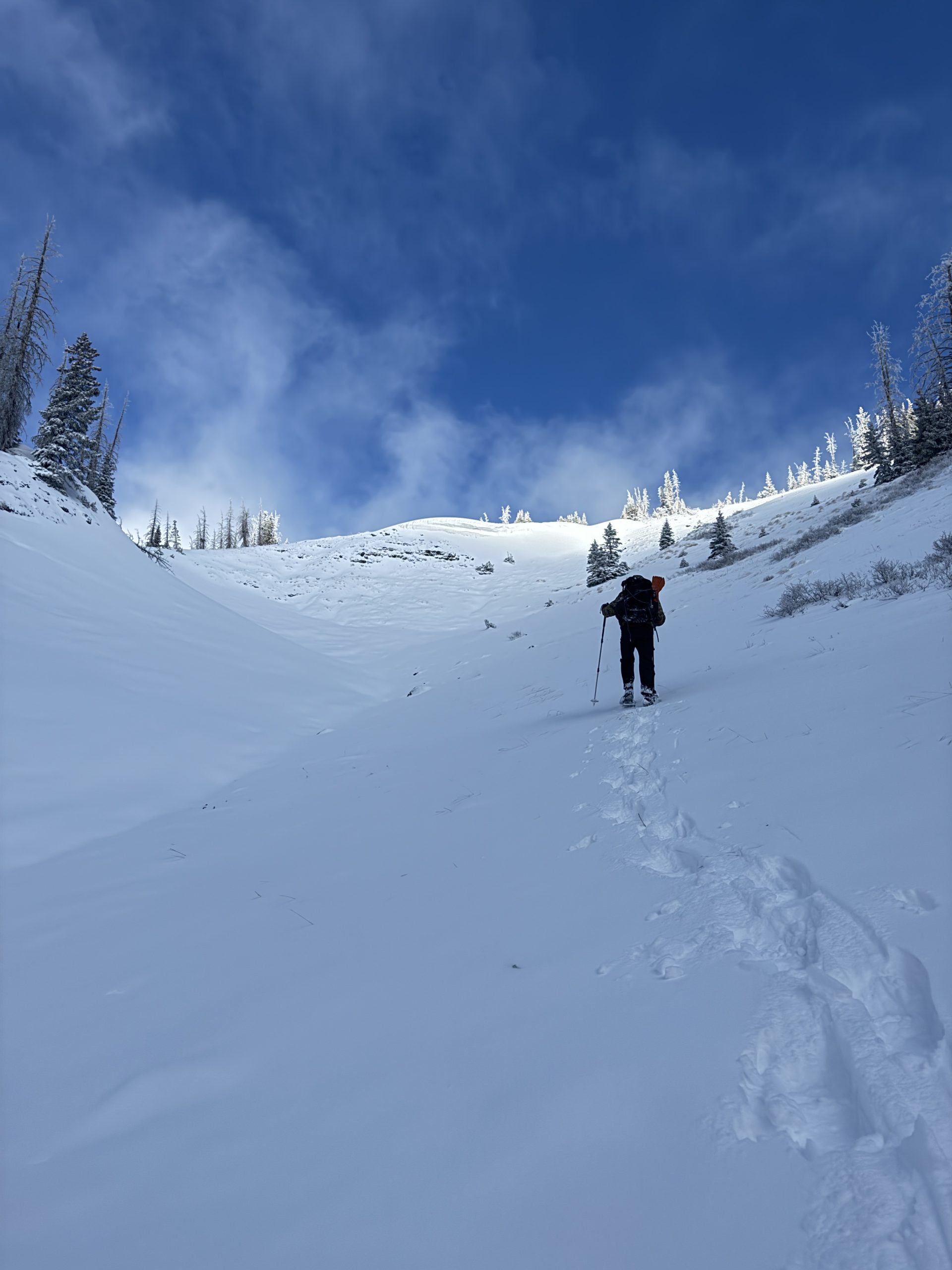 CDT + GDT: Chama to Pagosa Springs - Trudging through 10 Inches of ...