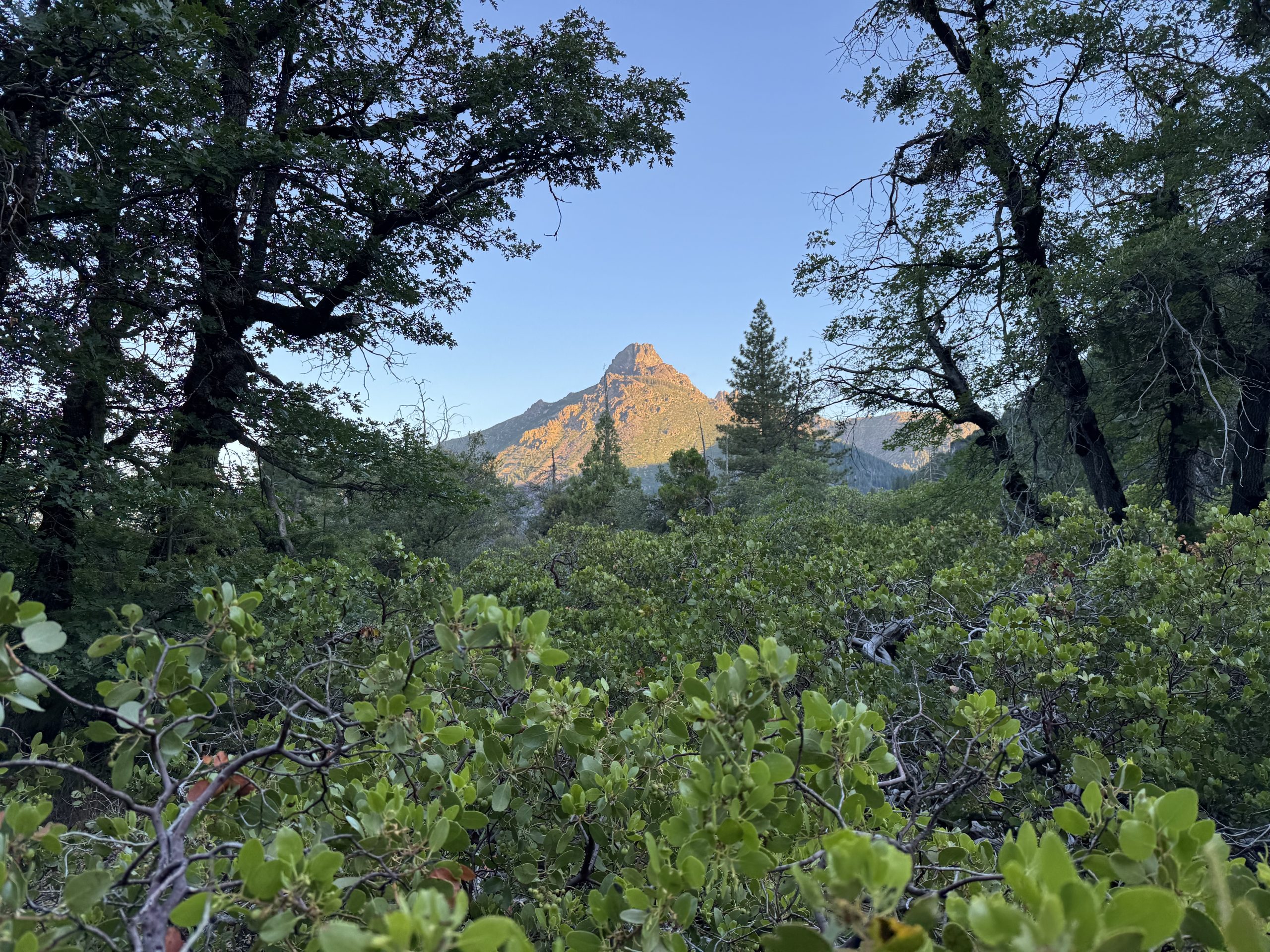 NorCal, Part 1: The Band Breaks Up - The Trek