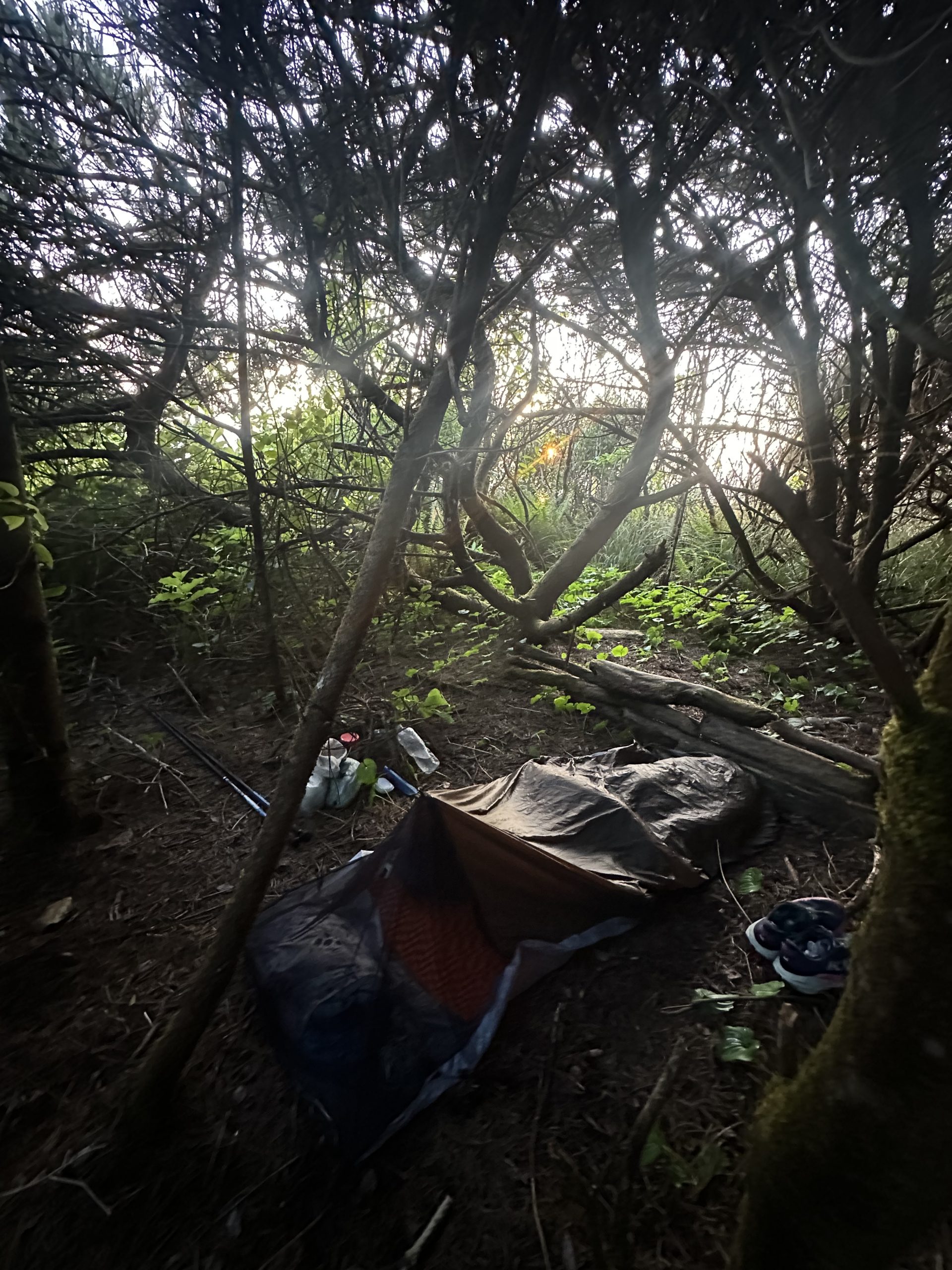 Oregon Coast Trail Day 7 : Gluttony at the Buffet - The Trek