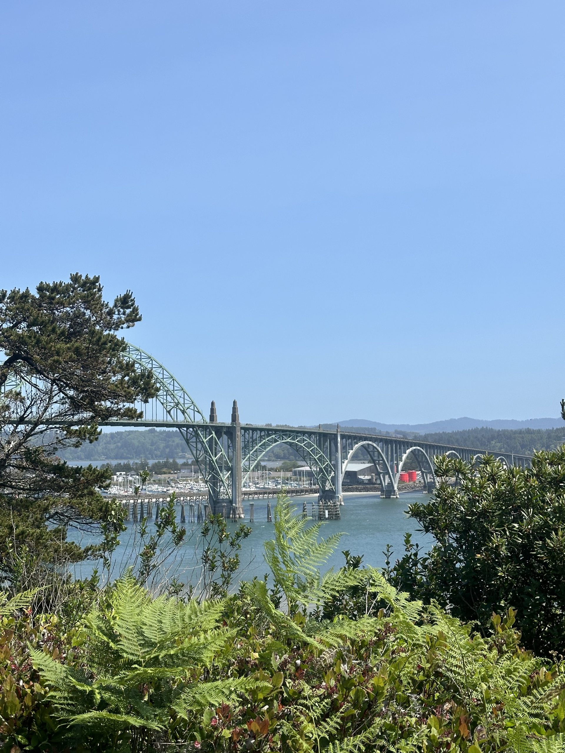 Oregon Coast Trail Day 7 : Gluttony at the Buffet - The Trek