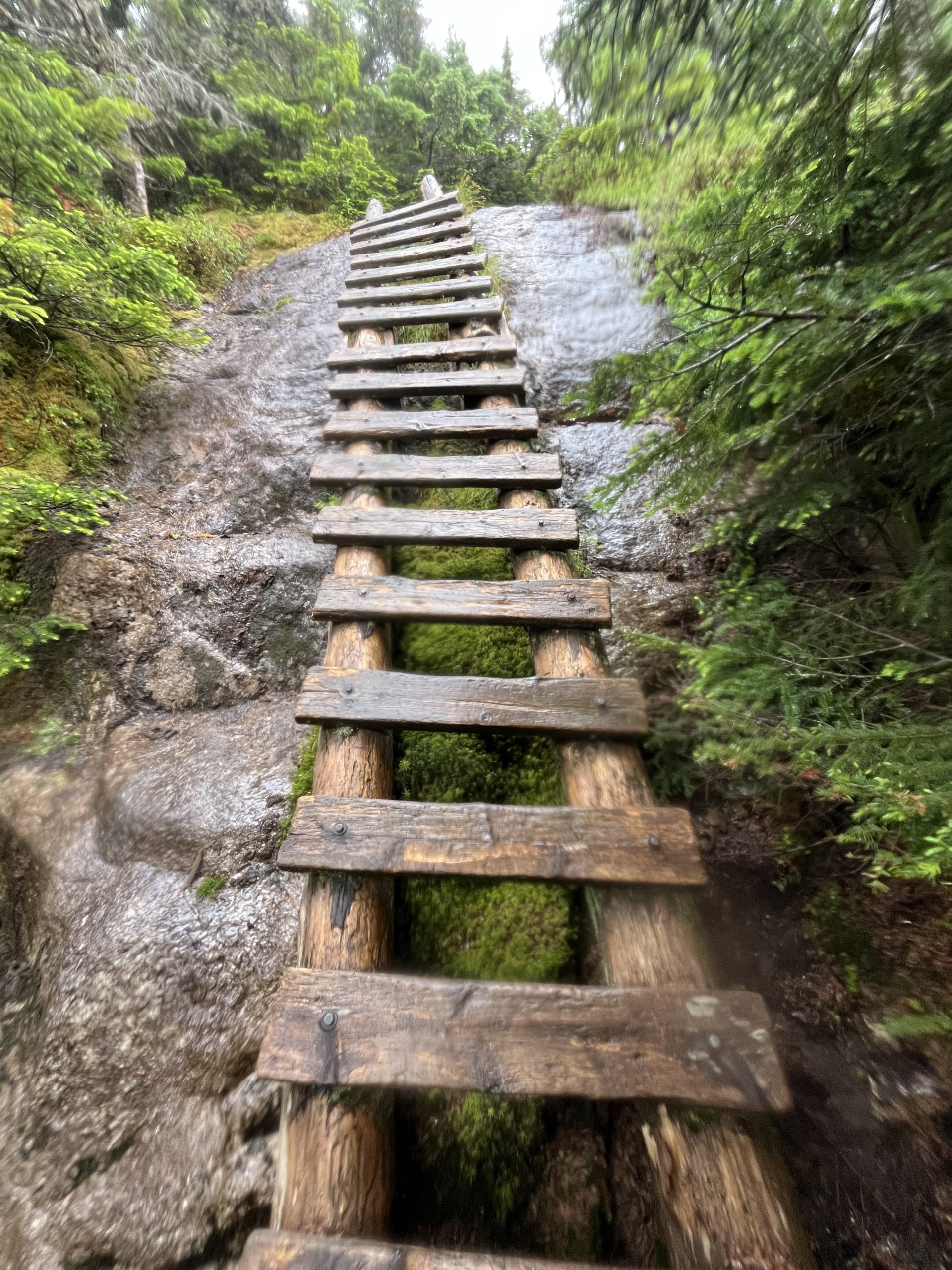 Miserable Rain in the Mountains of Maine - The Trek