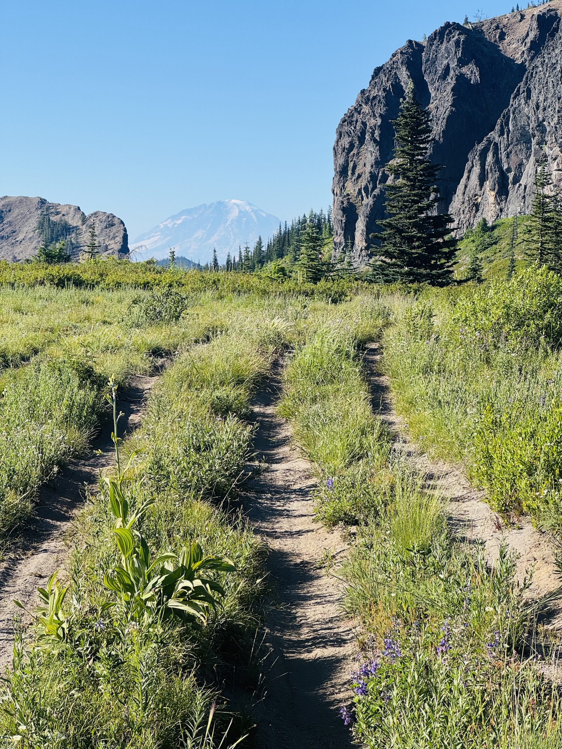ORV = Off-grid Relaxing Vibes - The Trek