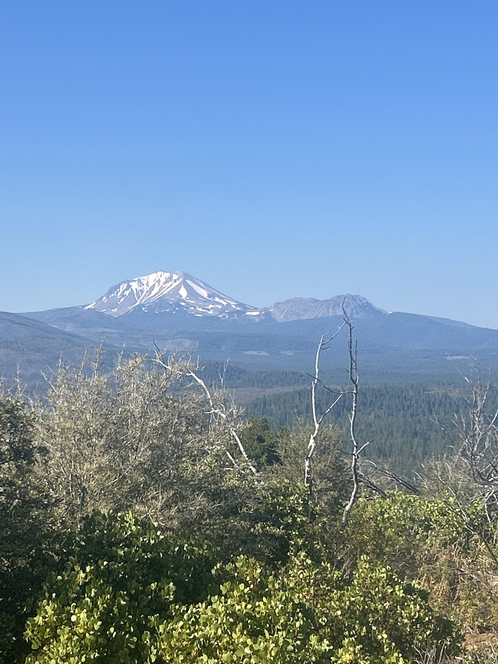PCT Day 102 - 106: Hitting Big Milestones in Northern California - The Trek