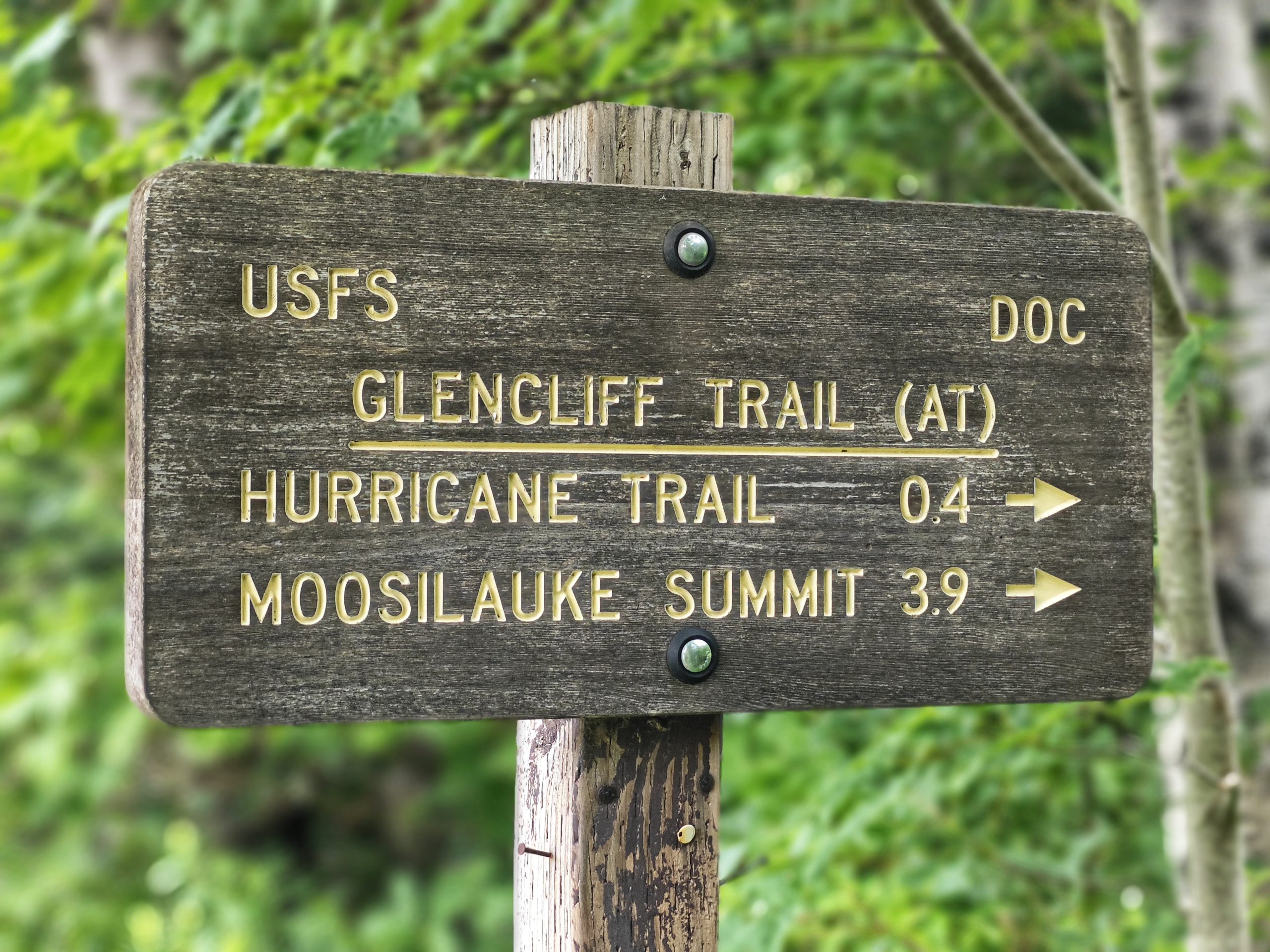 30 Unprepared Camp Kids on Mt Moossilauke $17.36 - The Trek