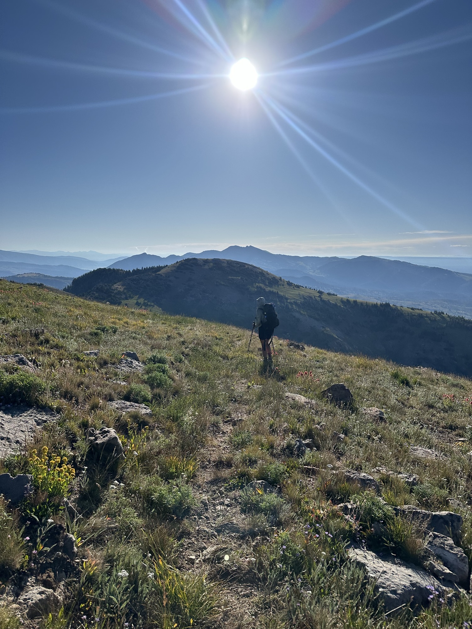 Day 45: You can’t pick your trail name - The Trek